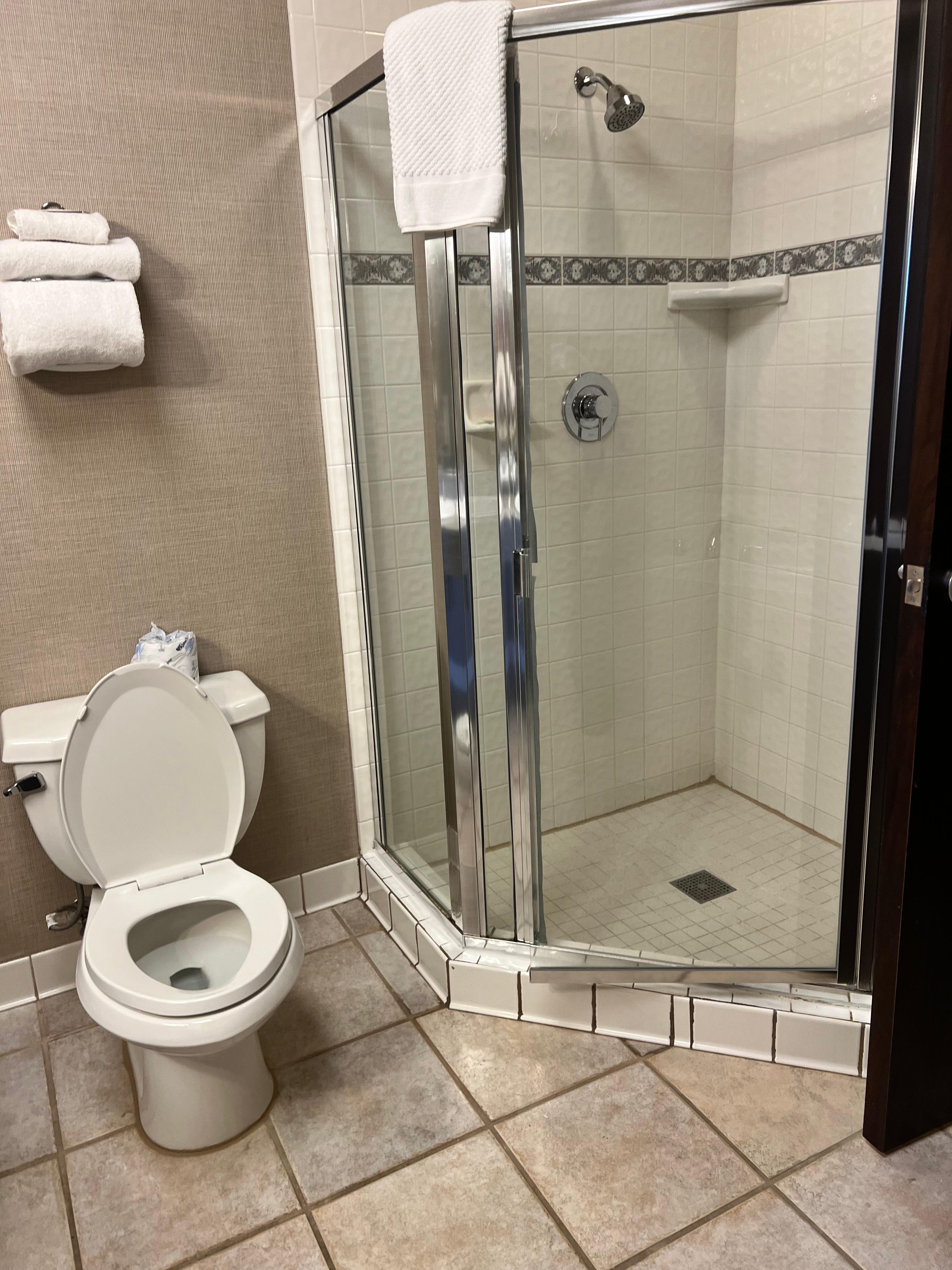 The shower was great for rinsing and washing off before the spa tub.