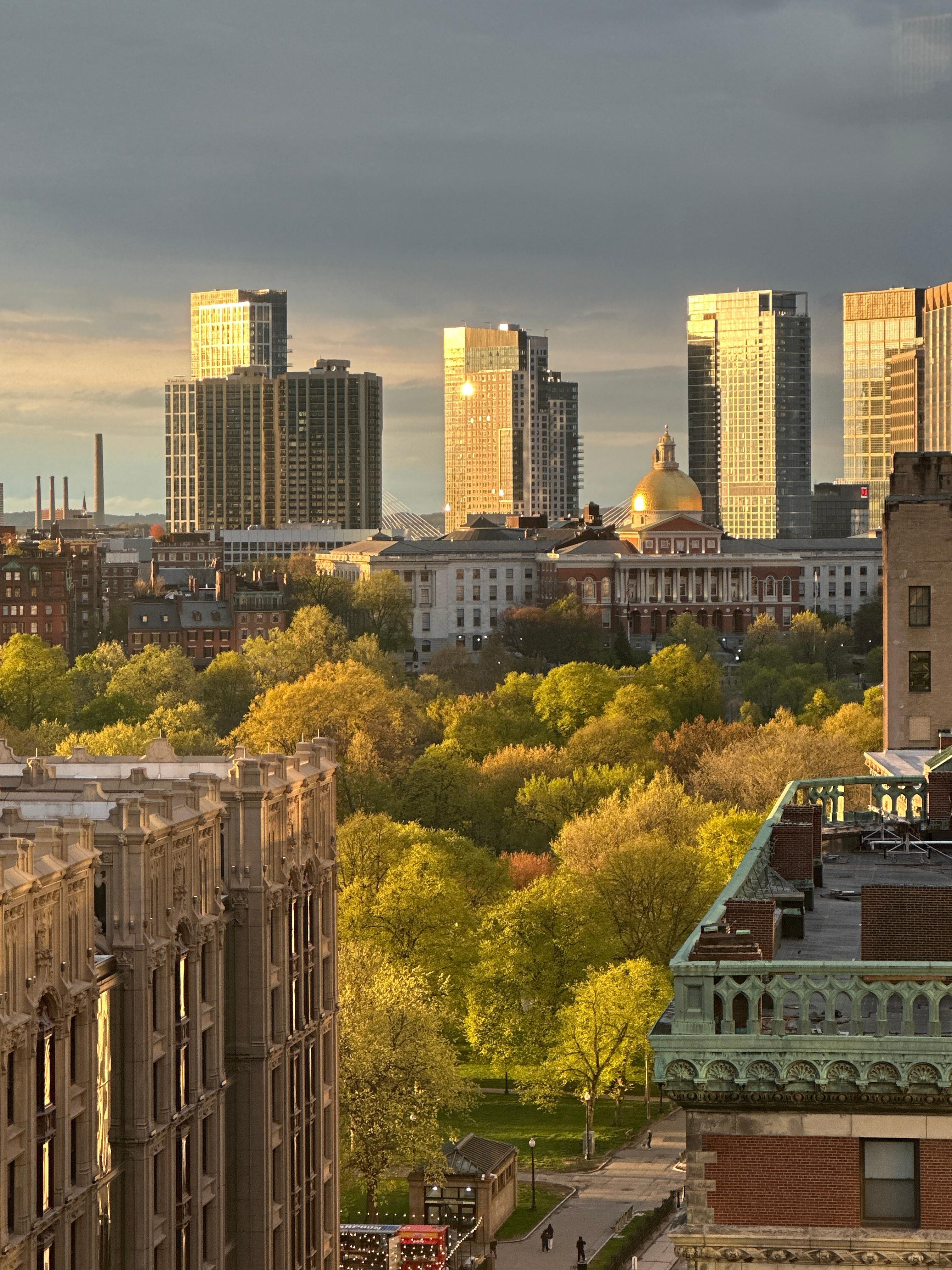 Close up view: Boston Common & gold dome of State House 