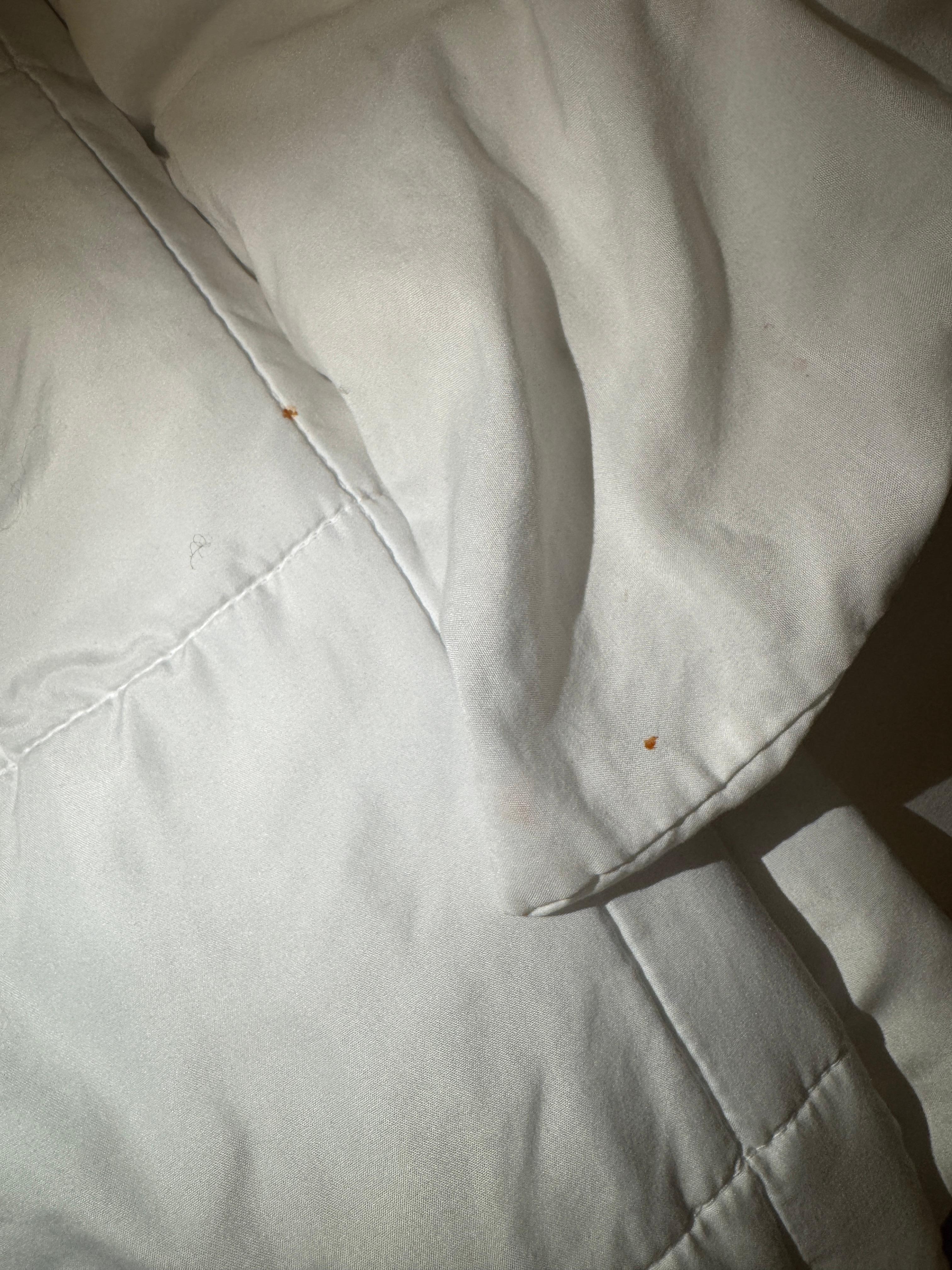 Stains that looked fresh, not washed 