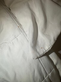 Stains that looked fresh, not washed