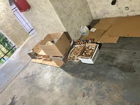 ?Garbage? Free Buffett for Happy Hour? Breakfast?