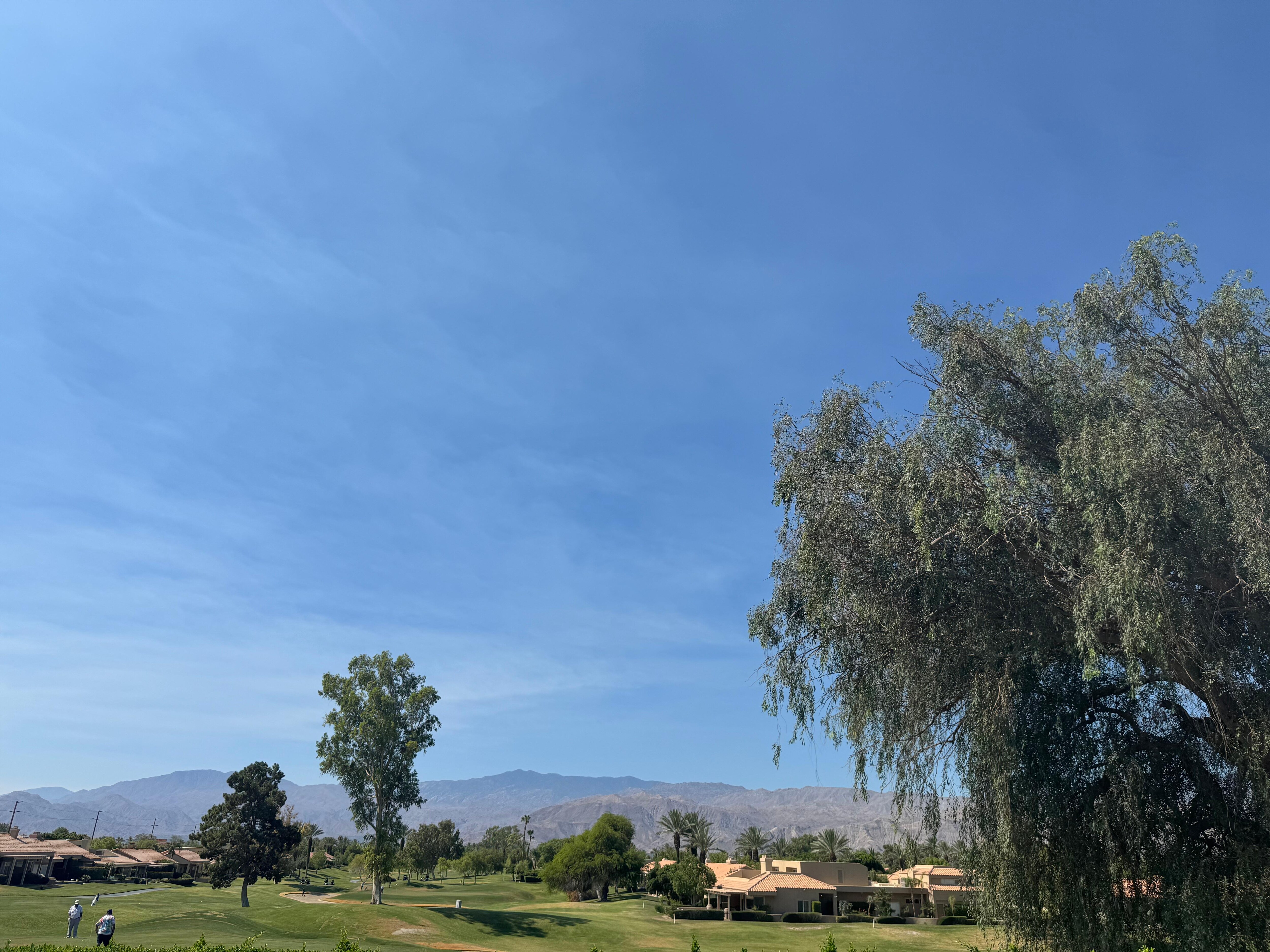 View from adult pool