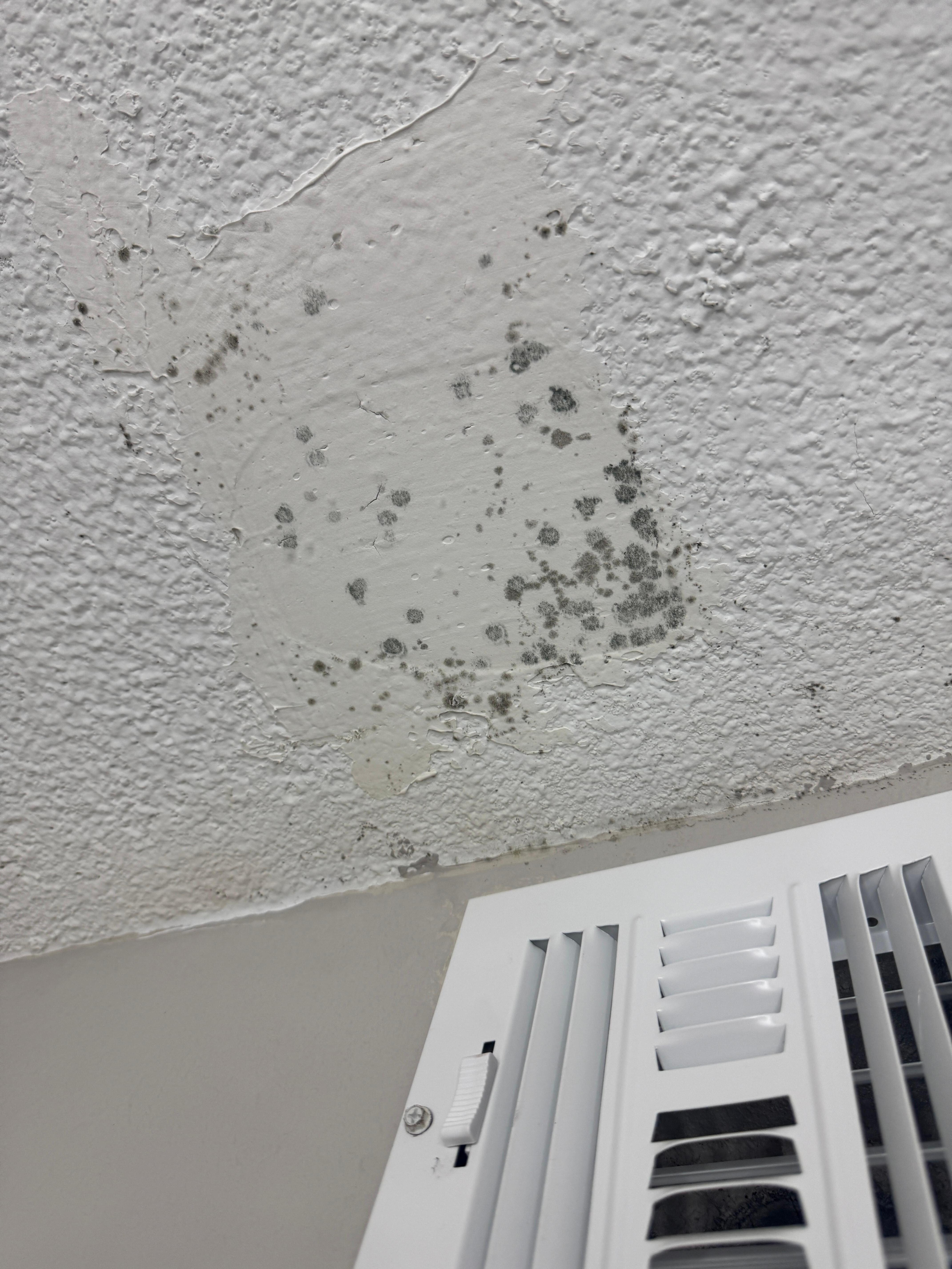 Mildew on ceiling in bathroom