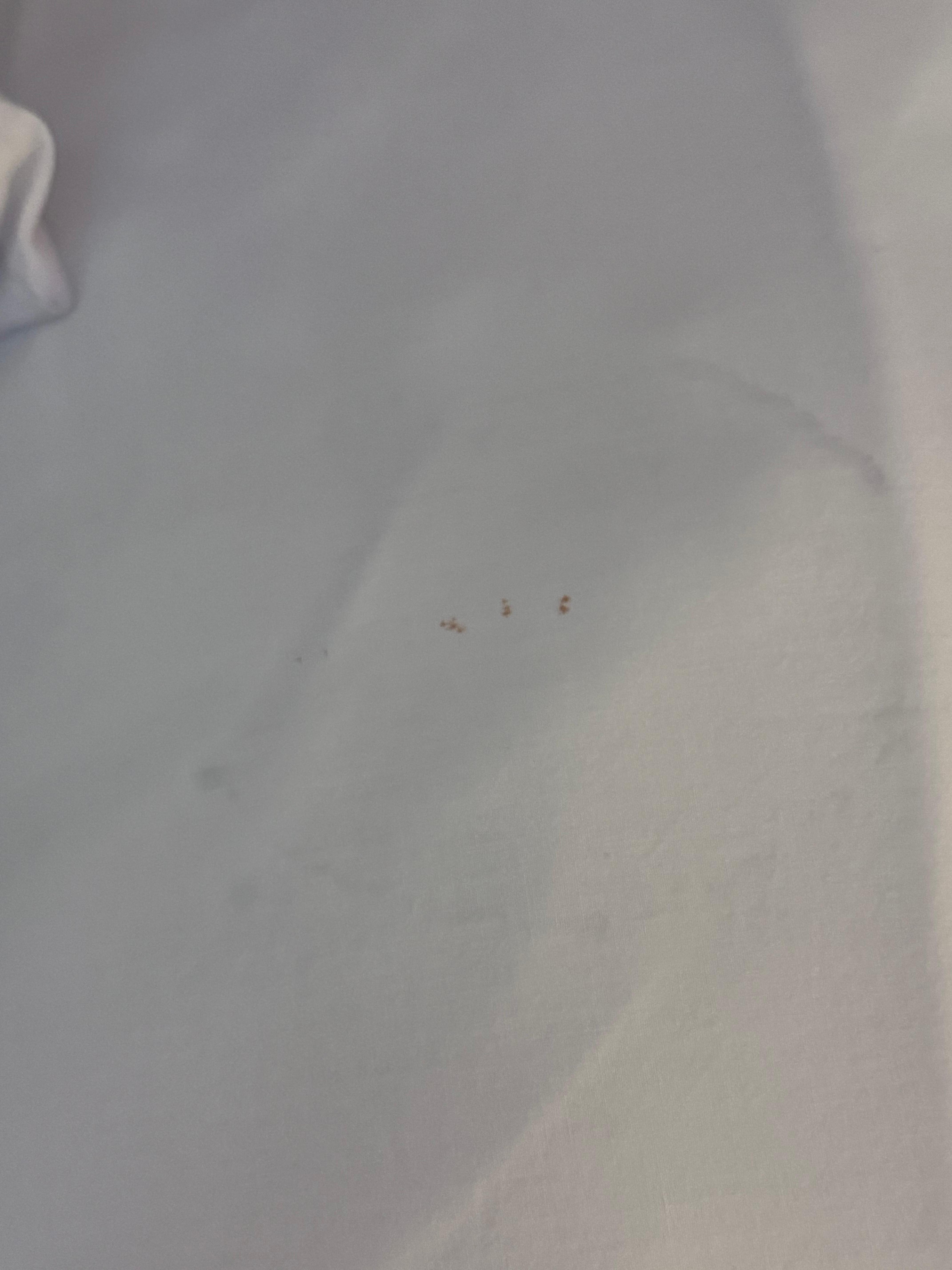 blood stains on pillow