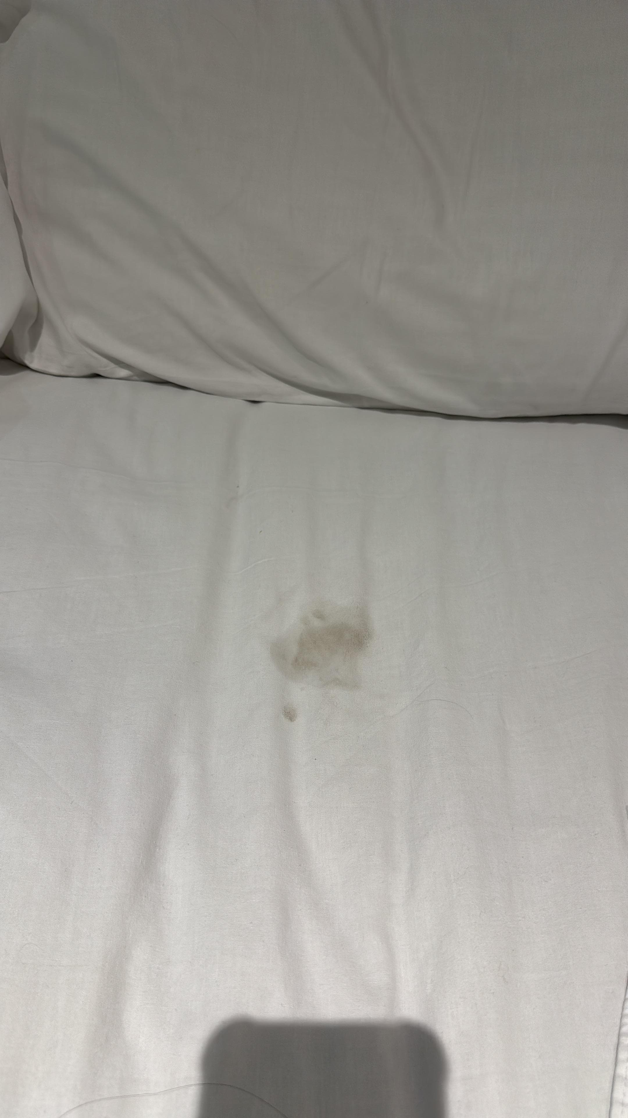 I wonder They never changed fitted sheets 