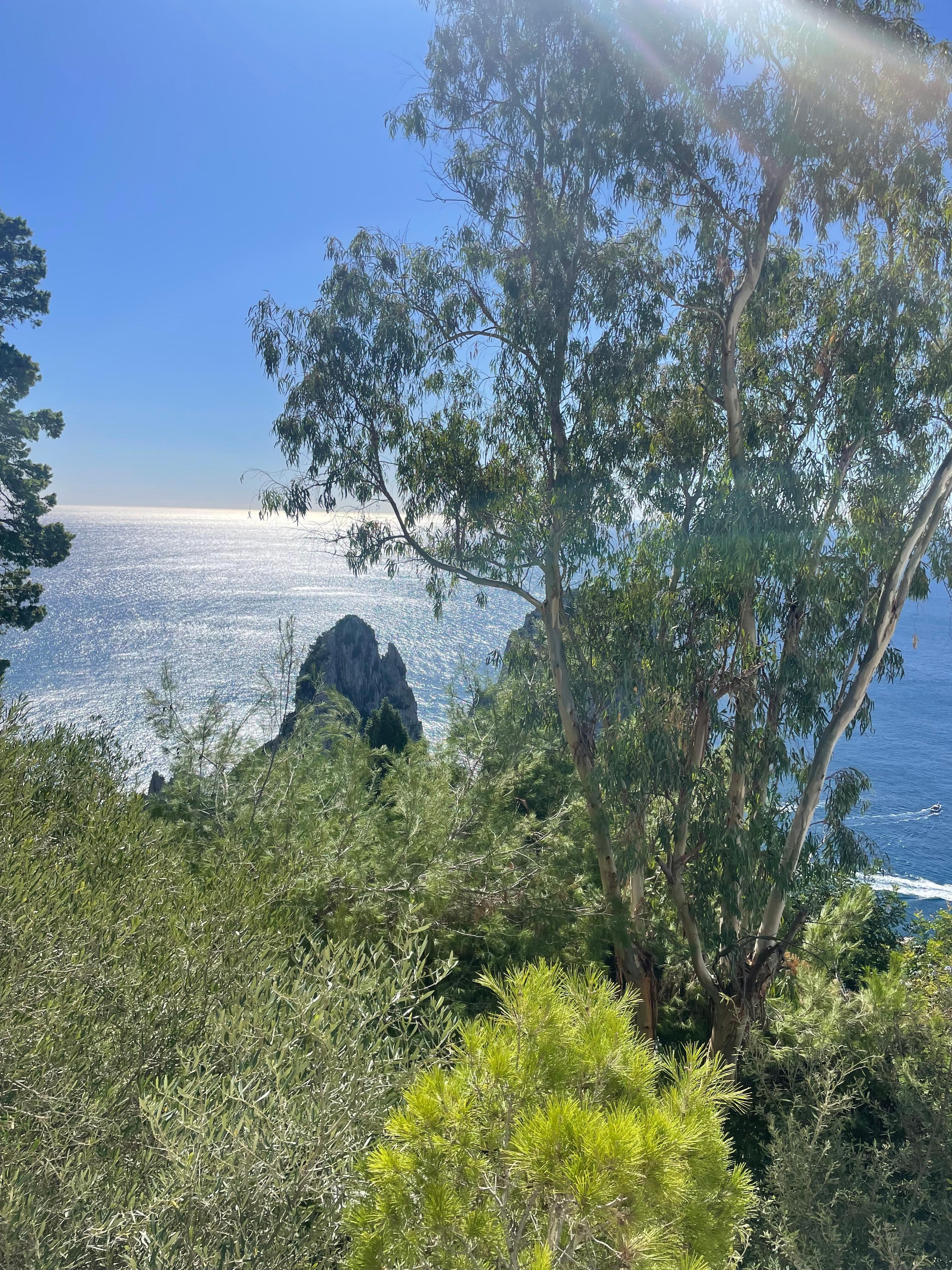 View from breakfast terrace 