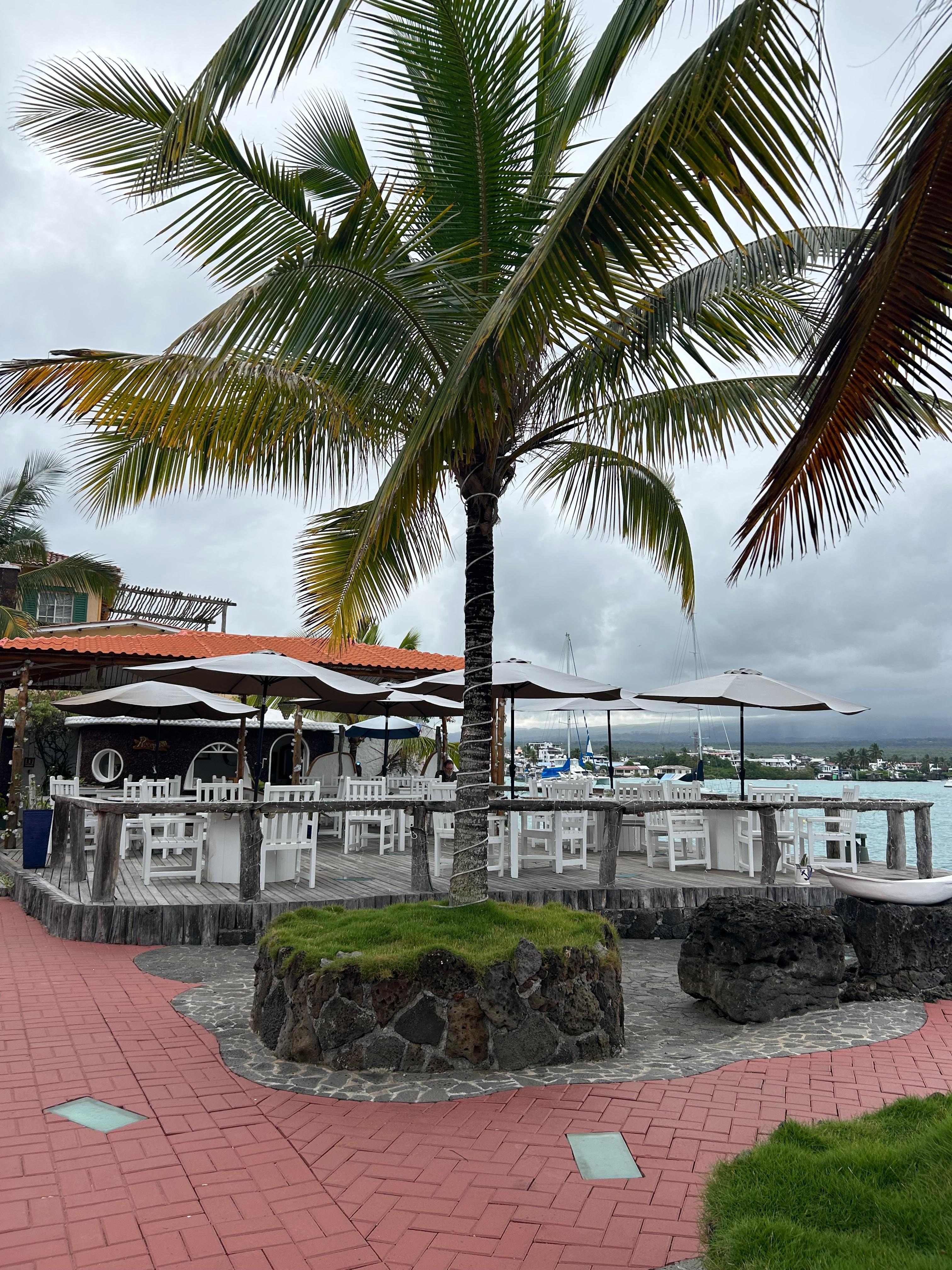 Lovely waterfront dining