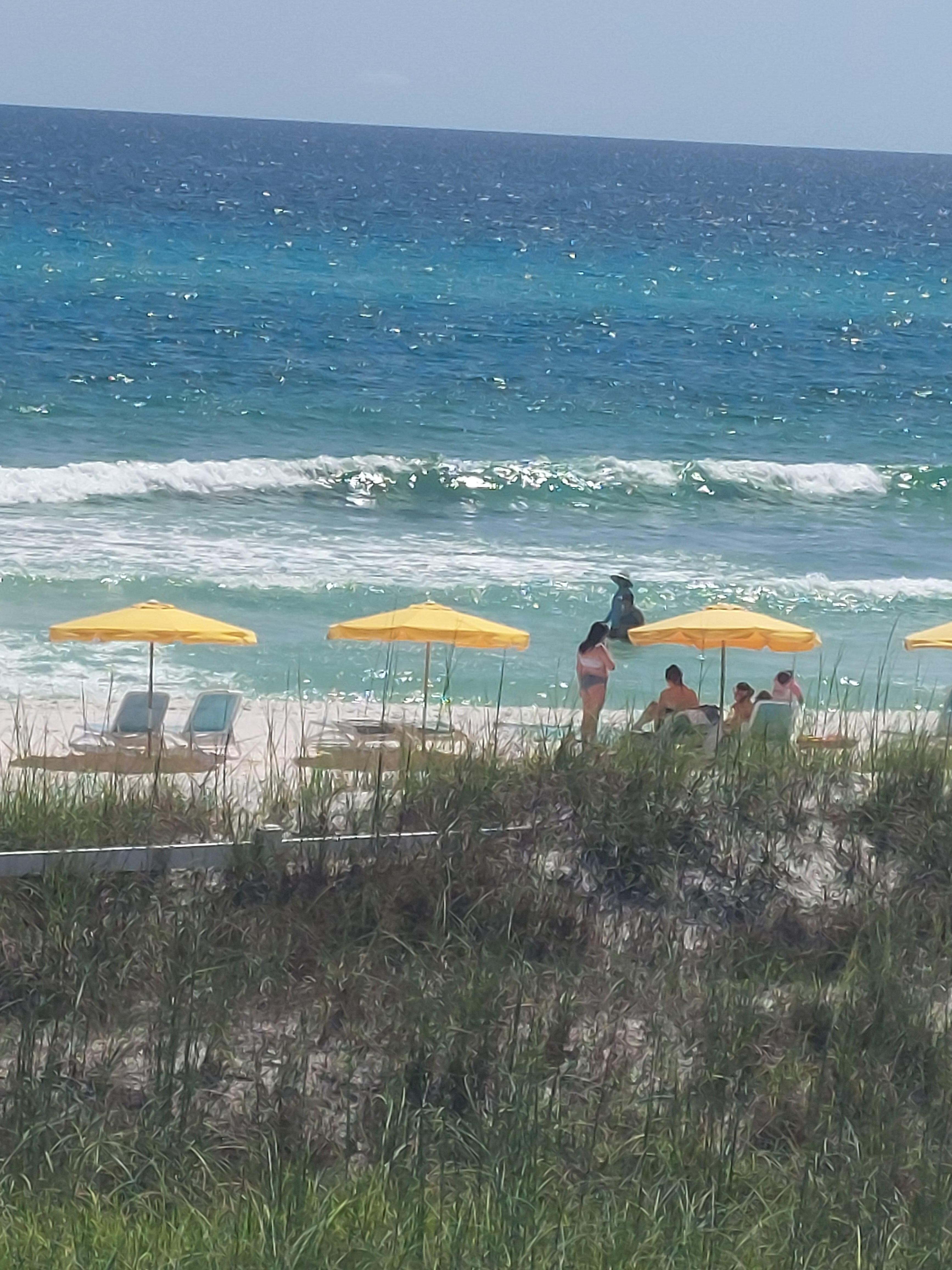 From my balcony!