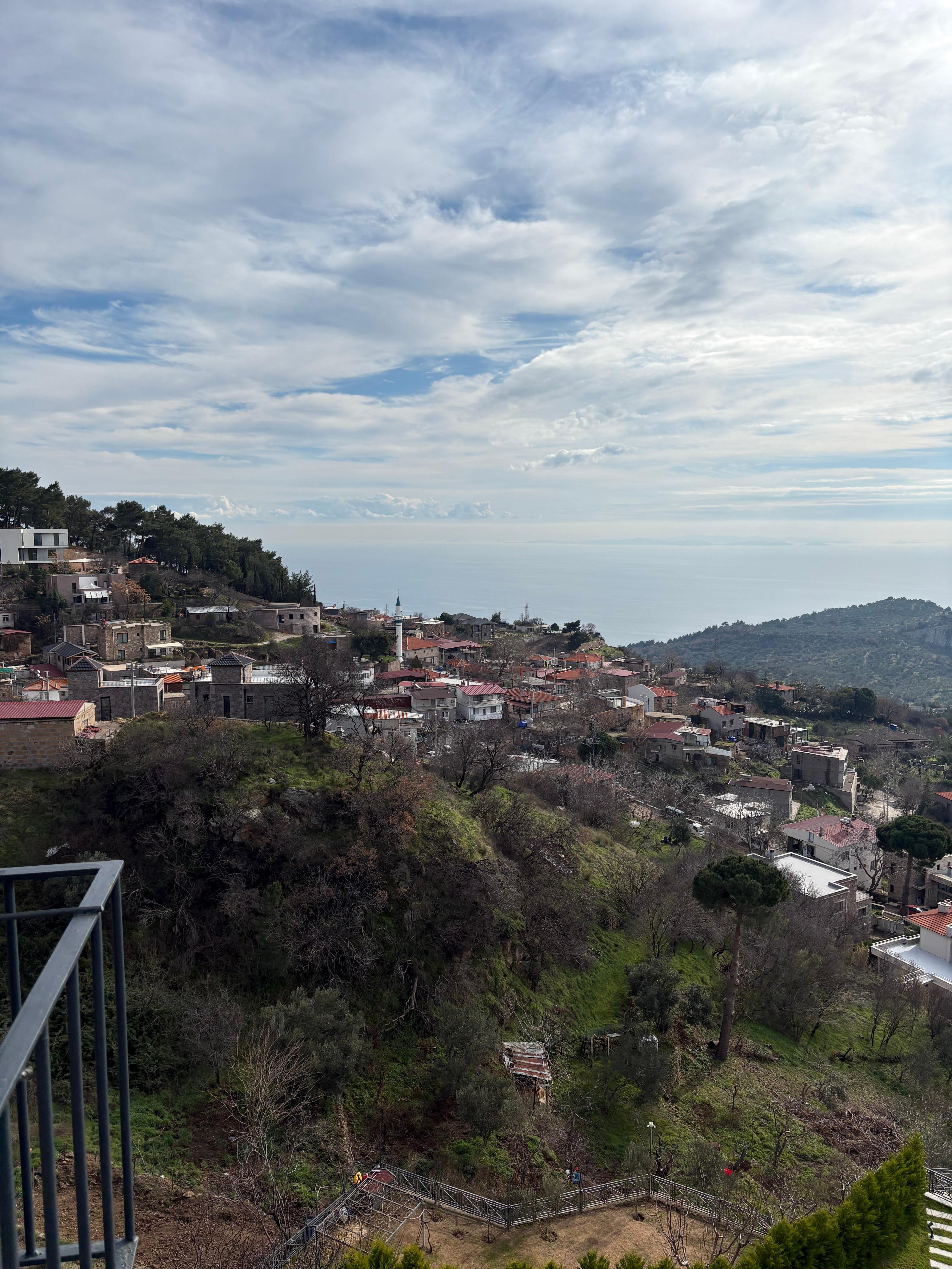 Denizle yeşil Doğanın birleştiği muhteşem tablo