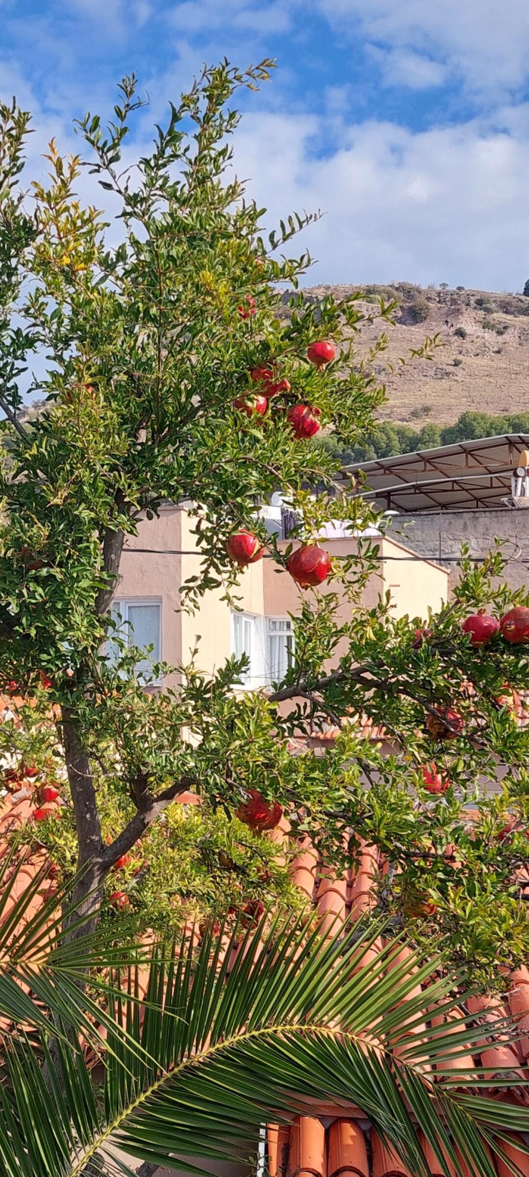 Her Hotel bahçesinden bir kare