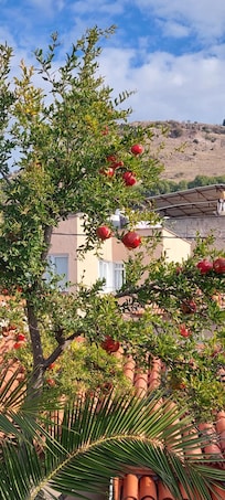 Her Hotel bahçesinden bir kare