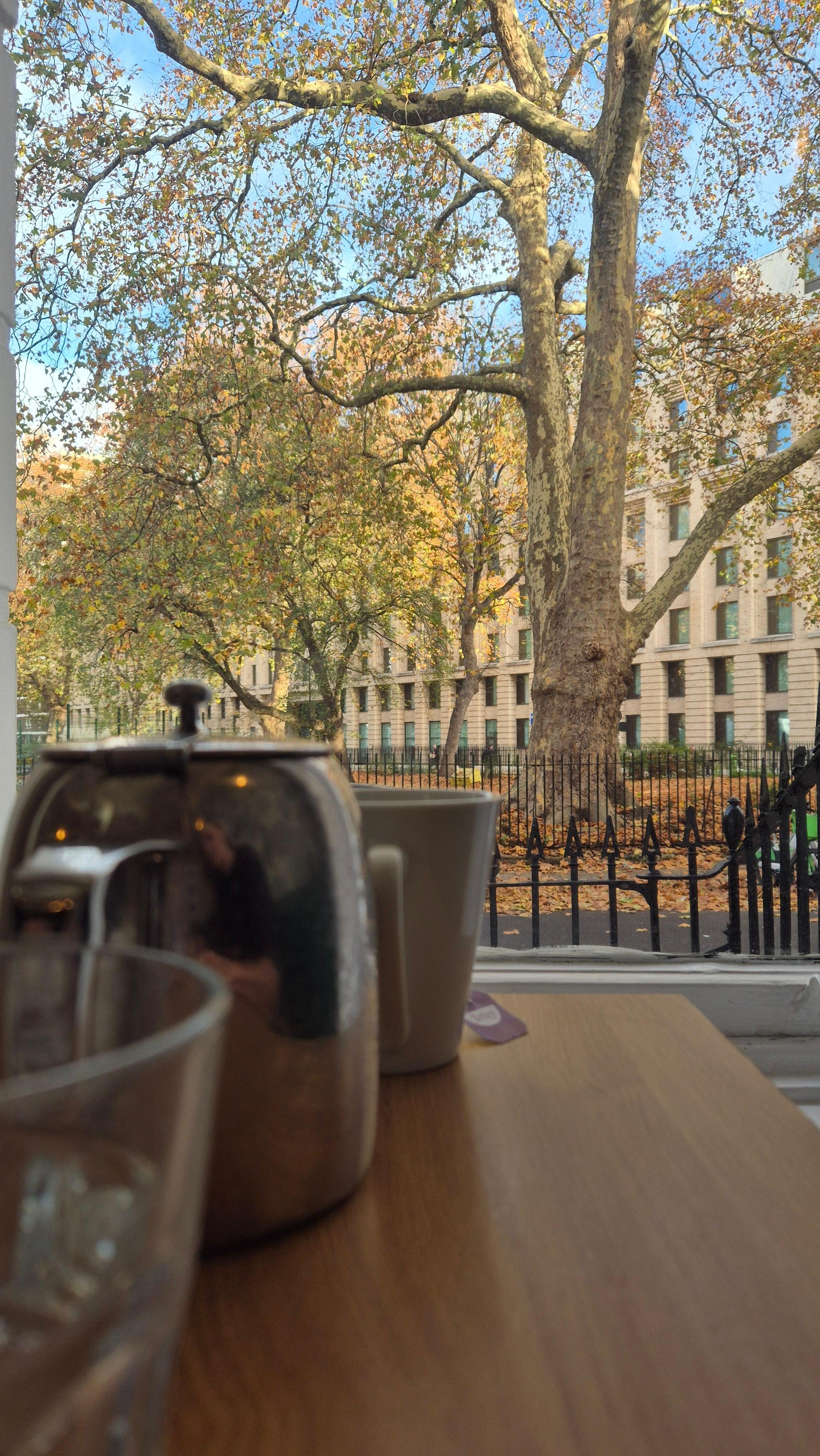 What a view having breakfast, looking over some tennis courts and a lovely front garden!