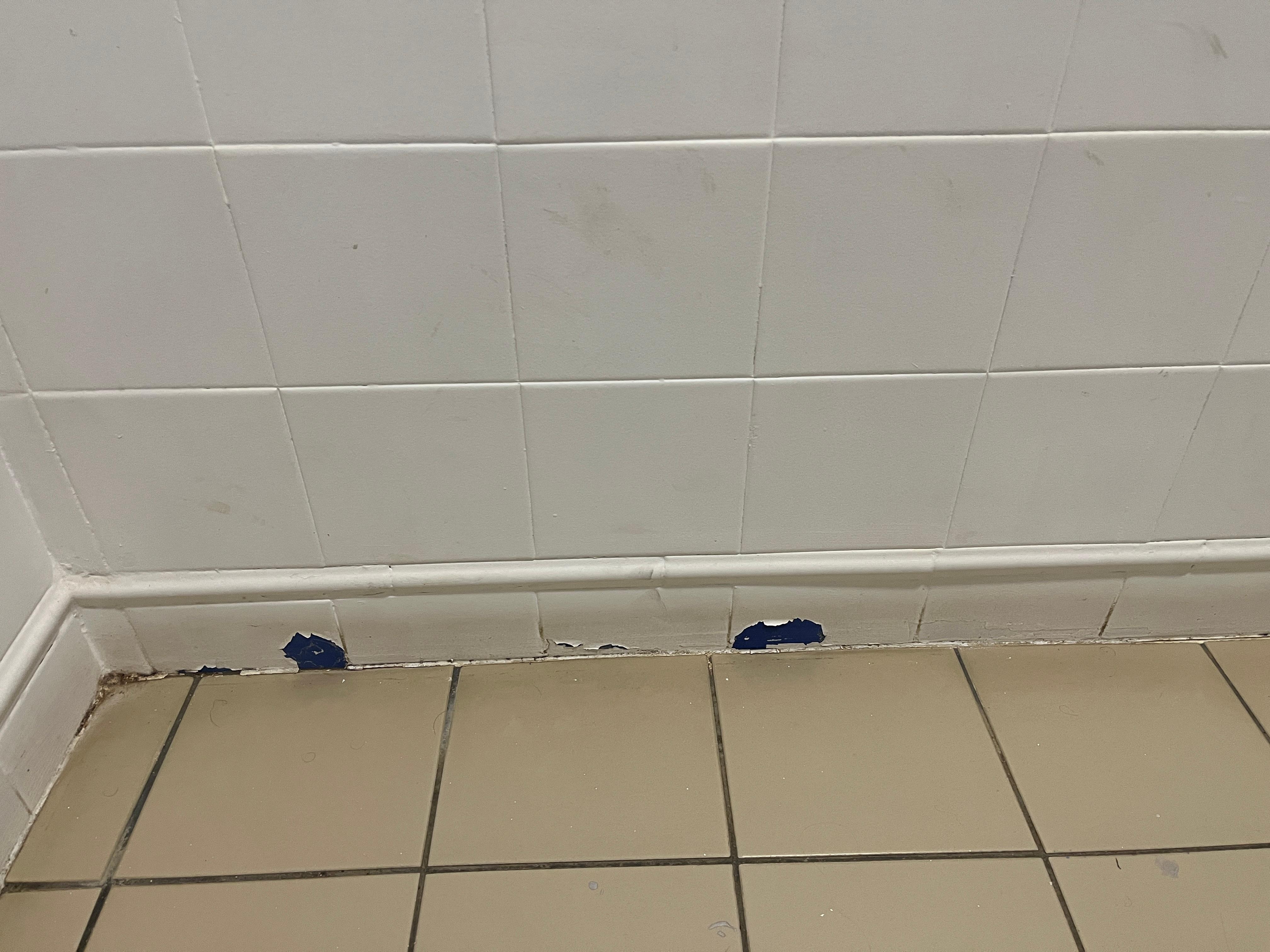 el baño también necesita mantenimiento