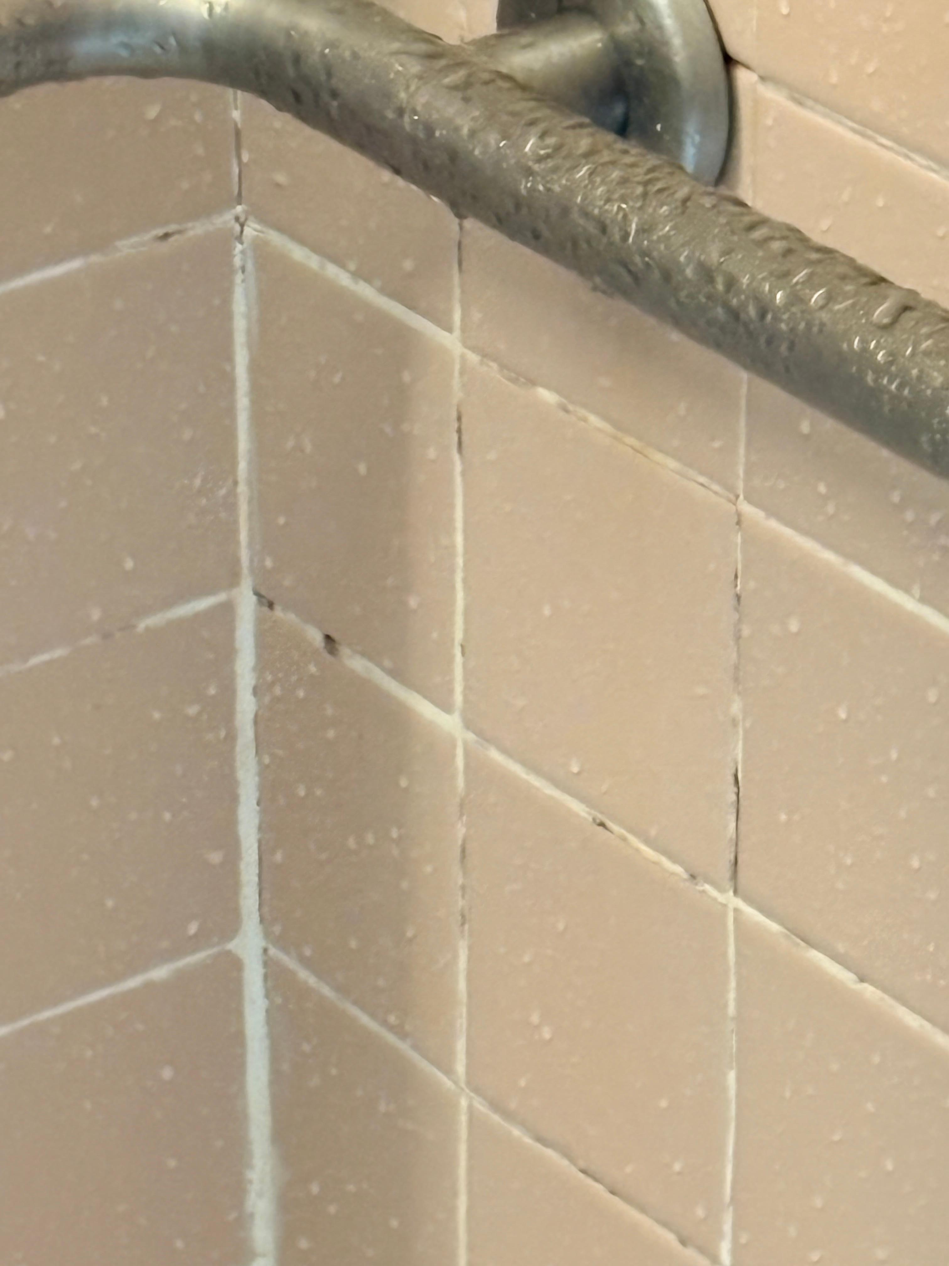 Mold in shower 