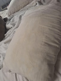 Very thin yellow stained pillow cases.