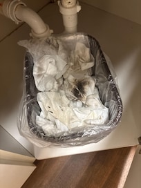 This is the bathroom trashcan. I used almost an entire Lysol wipes container wiping all of the disgusting surfaces. Doors door handles headboard light switches. It was all gross.