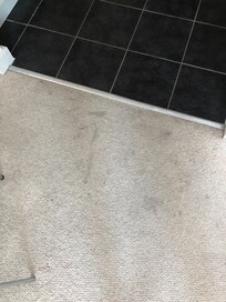 Every carpet stains so heavily and lots of crumbs too that if a Hoover had been used would not be there!