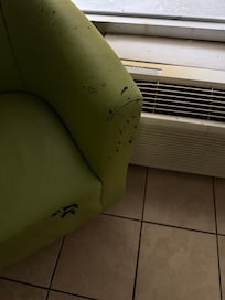 Tears on the outdated lounge chair.