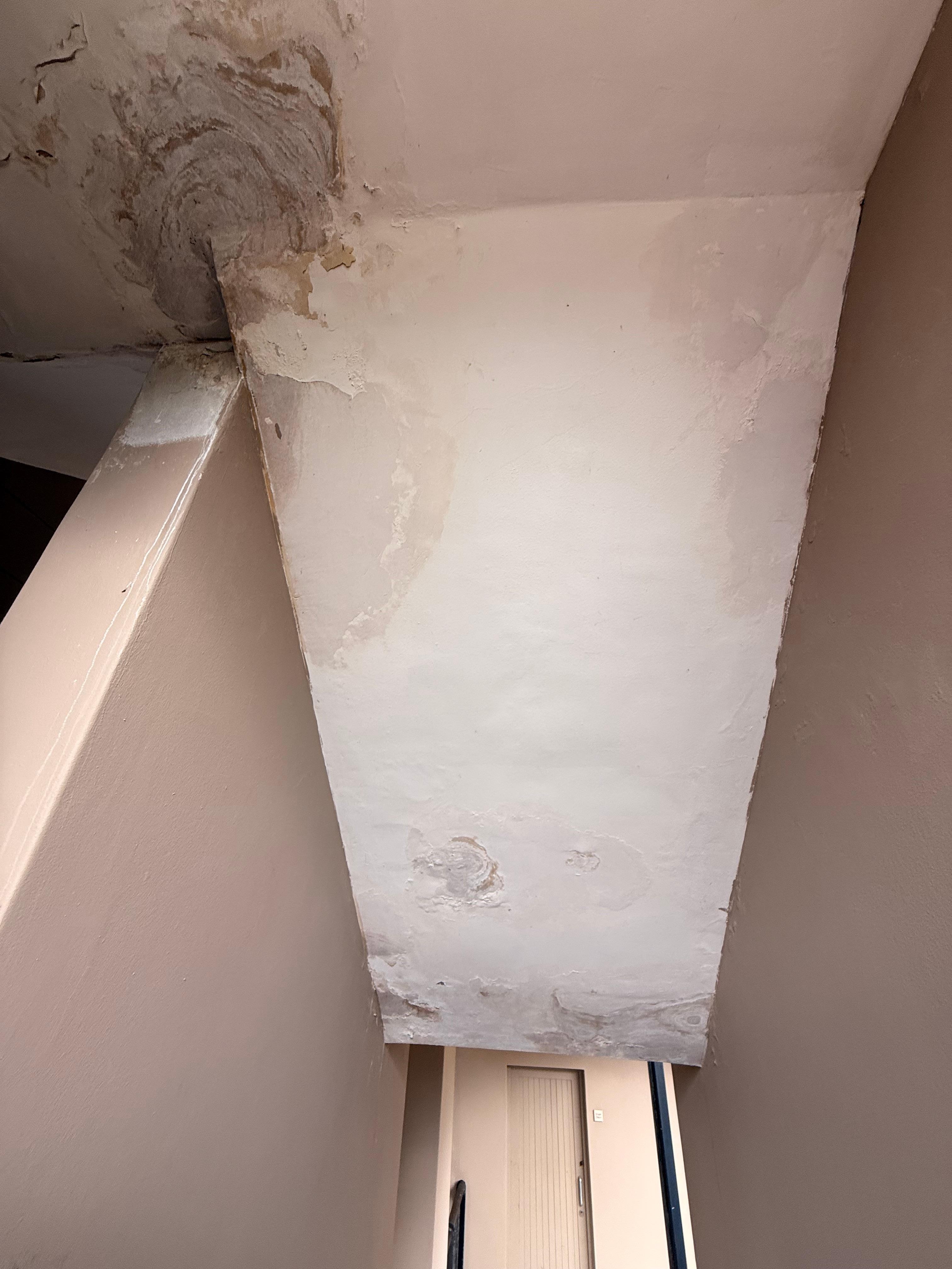 Lots of unsightly damp and weathering issues and generally poor upkeep and maintenance throughout the facility.