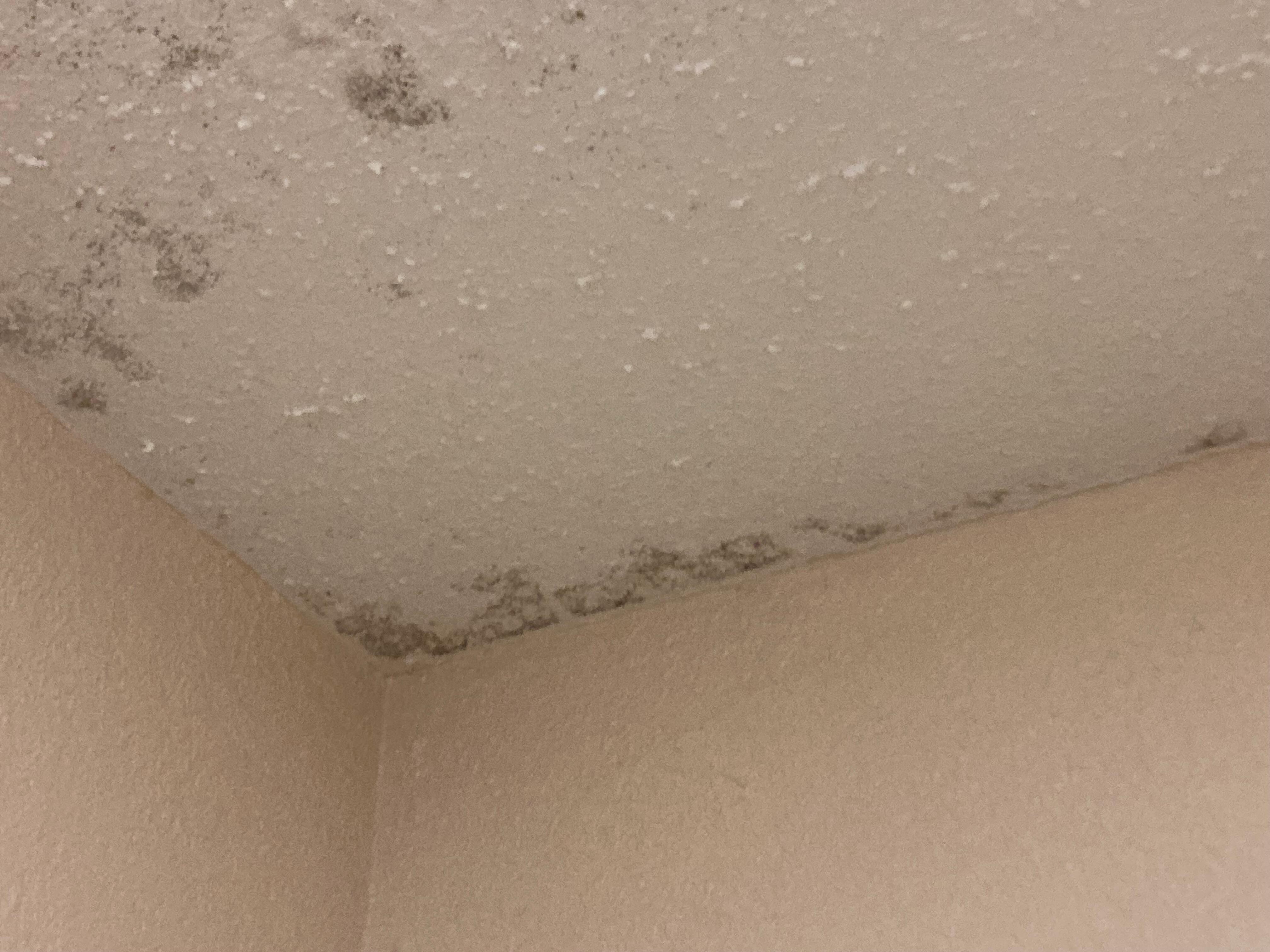 Mold on shower ceiling