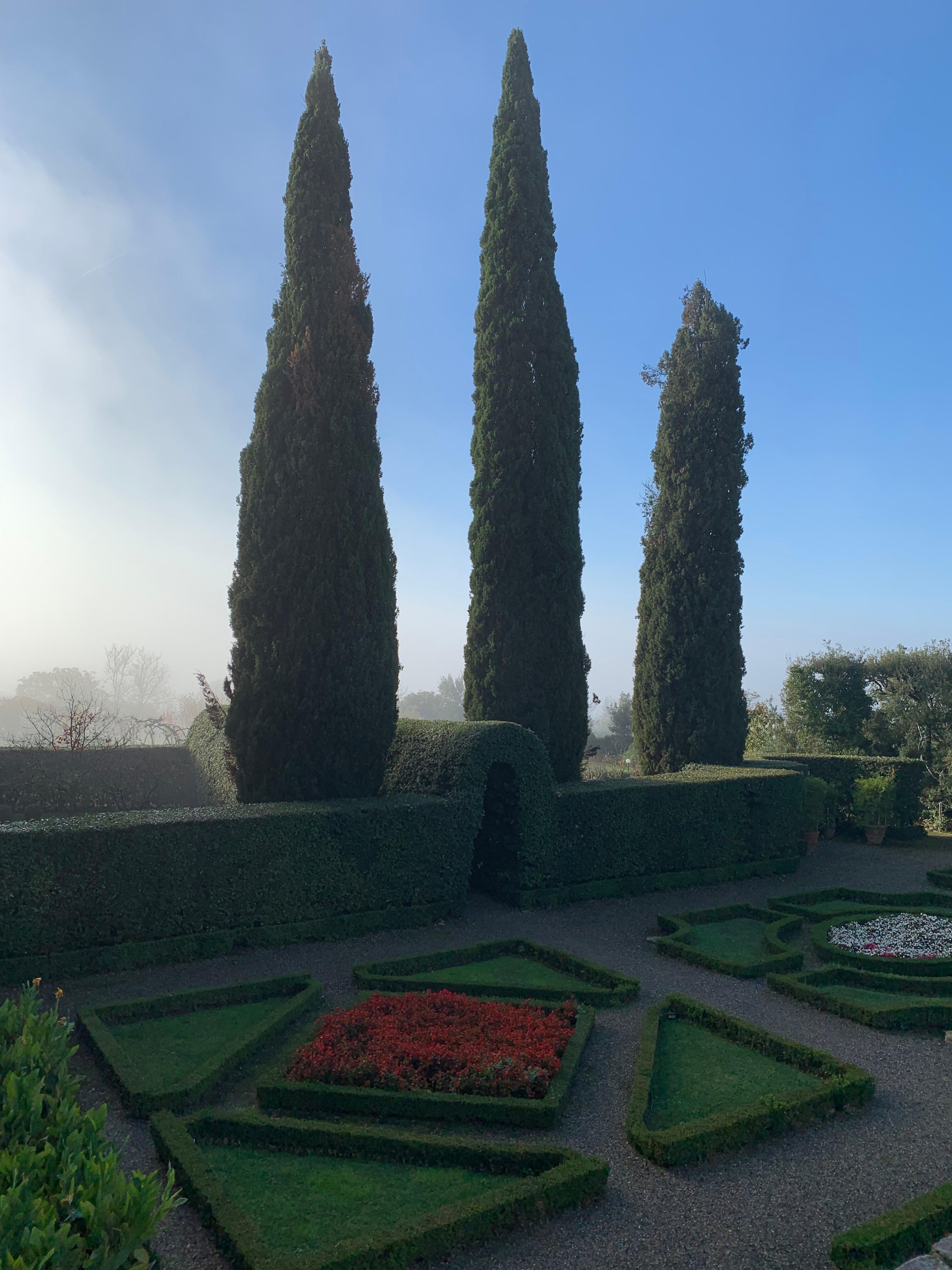 External Garden