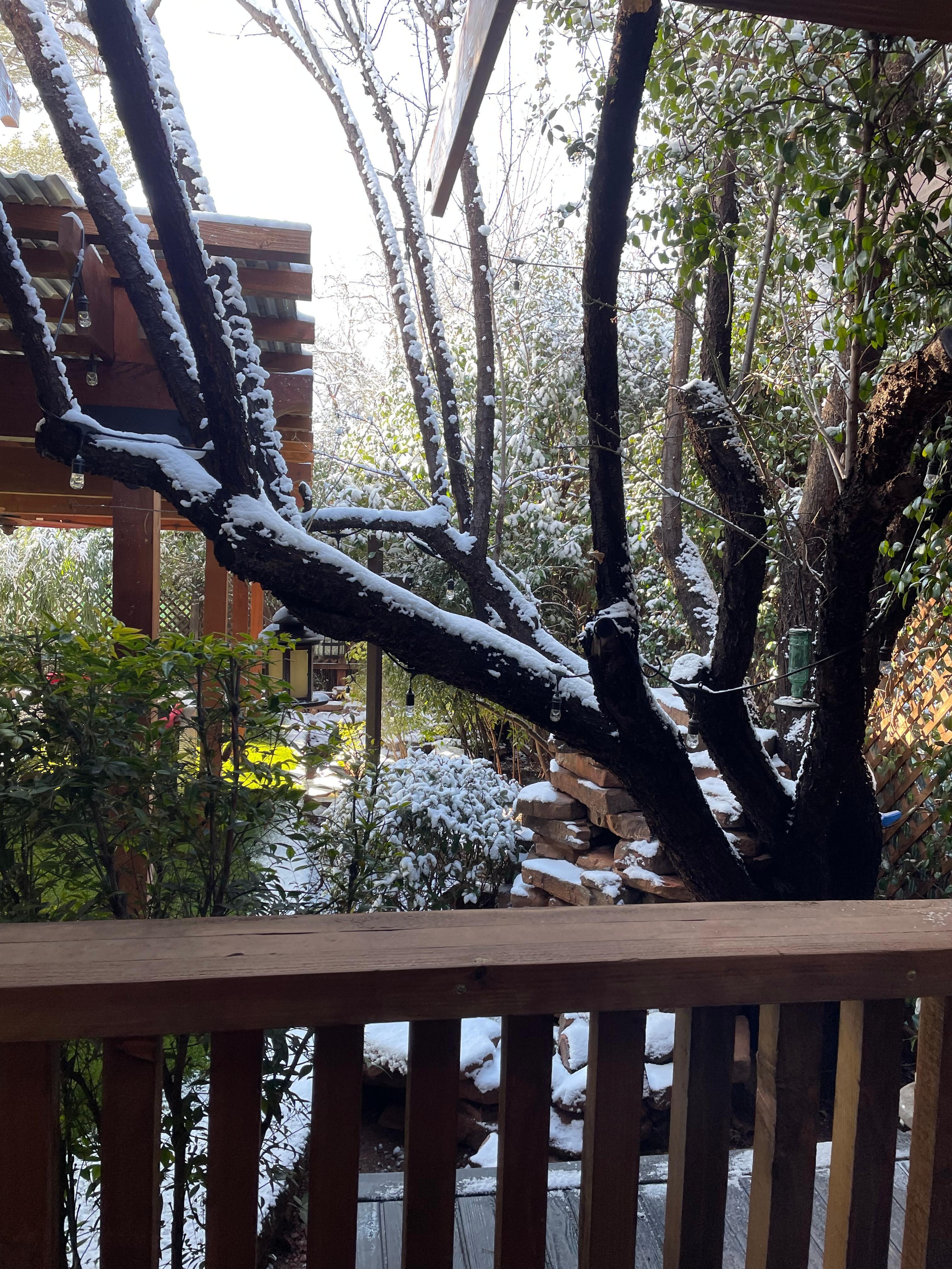 The courtyard After it snowed