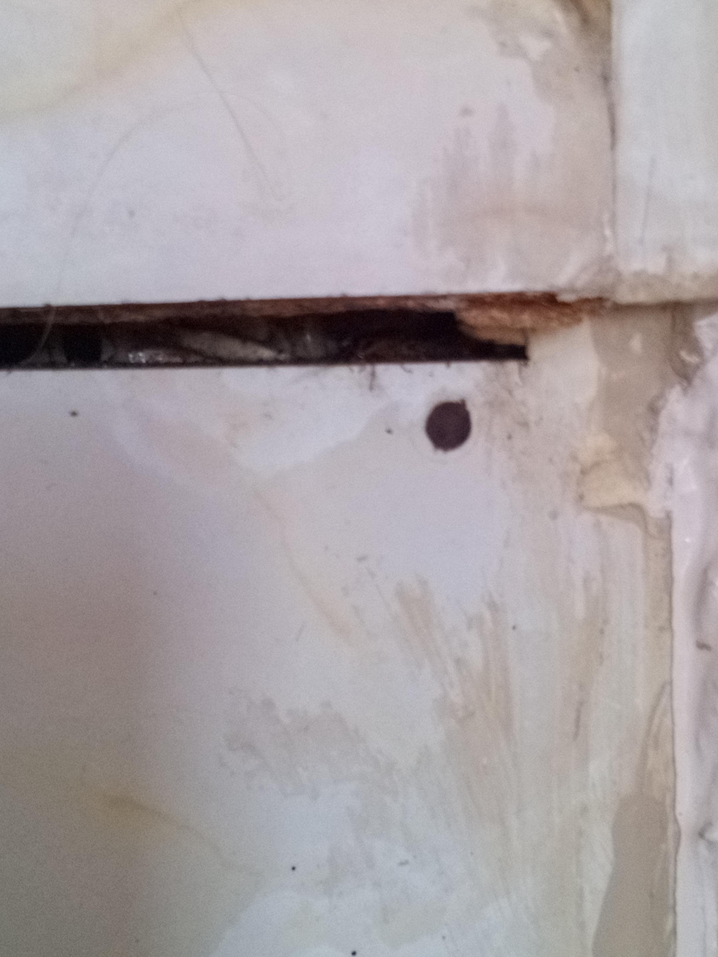 Cockroachs between the counter top of the sink 