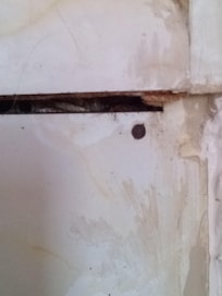 Cockroachs between the counter top of the sink