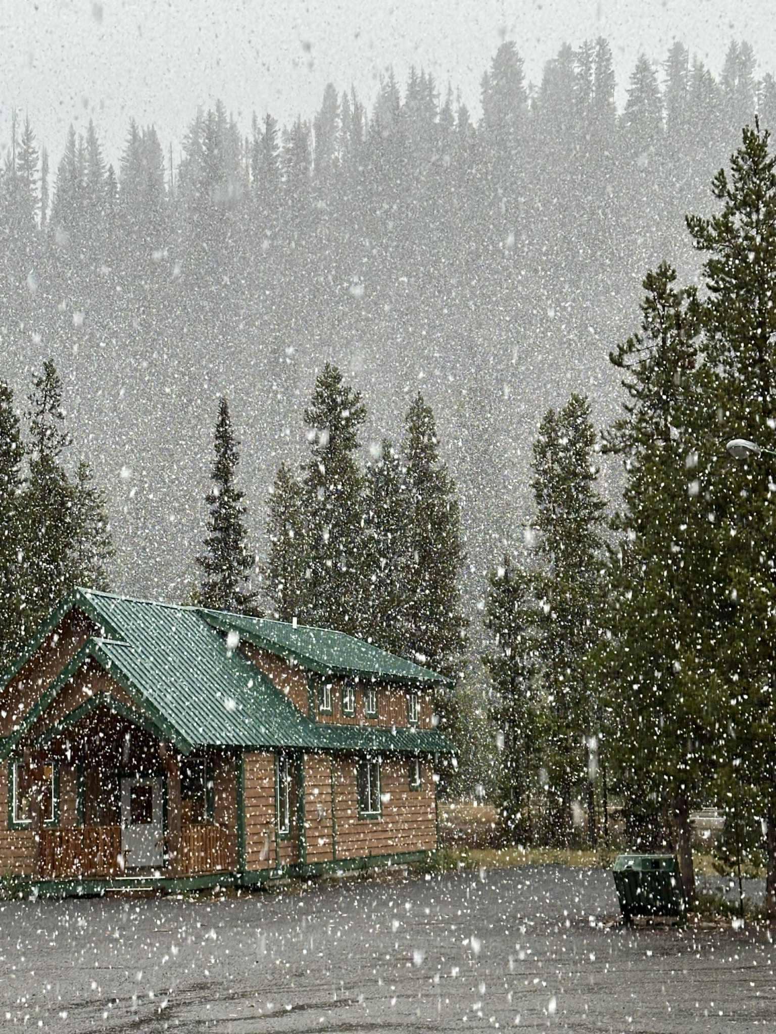 A beautiful surprise this morning. 