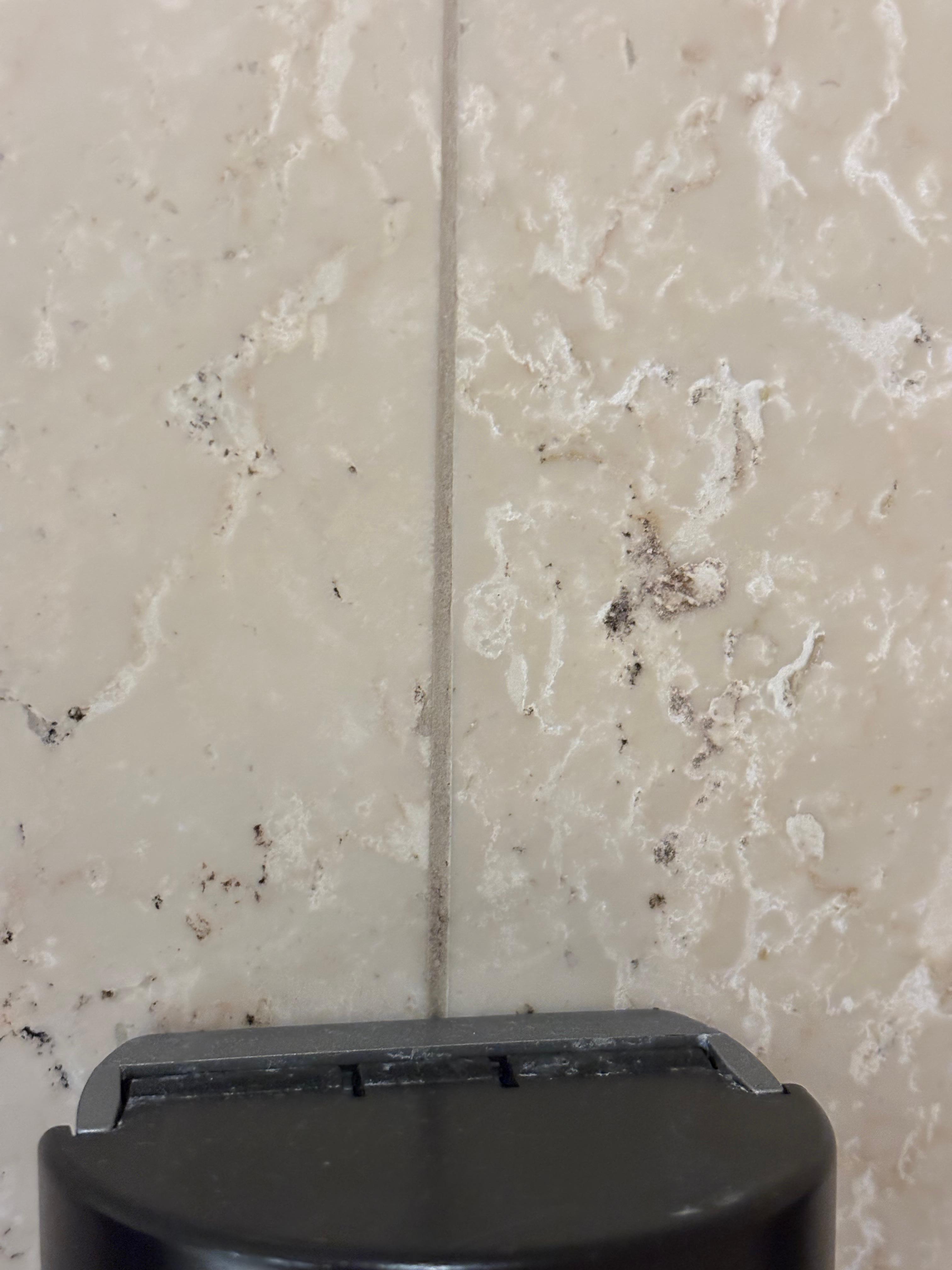 Black mold in shower