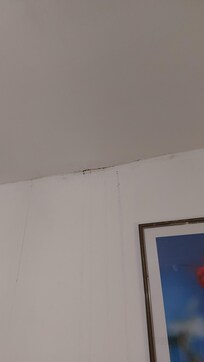 Water damage to roof