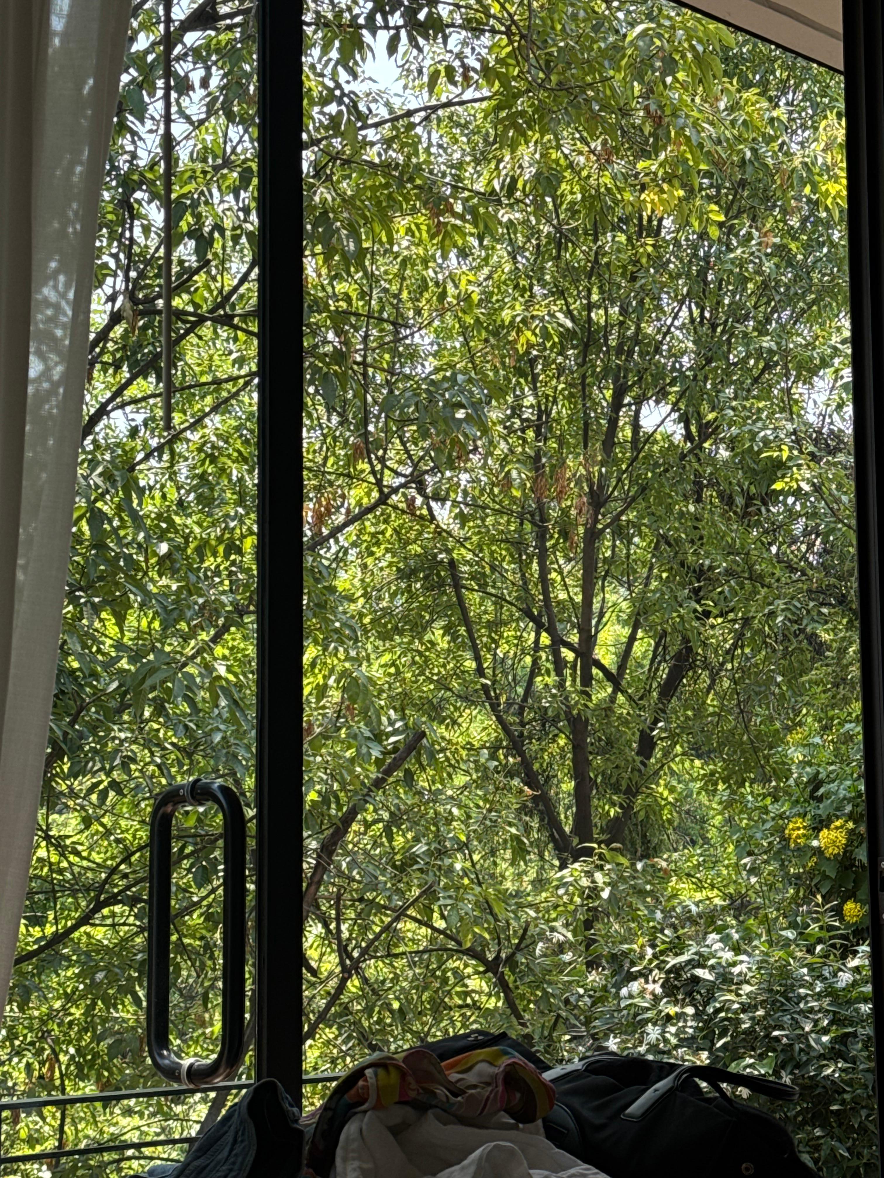 View from bed !!
