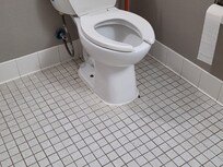 Gross around toilet, leaking