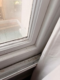 Mouldy window