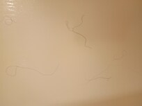 Hair on shower walls