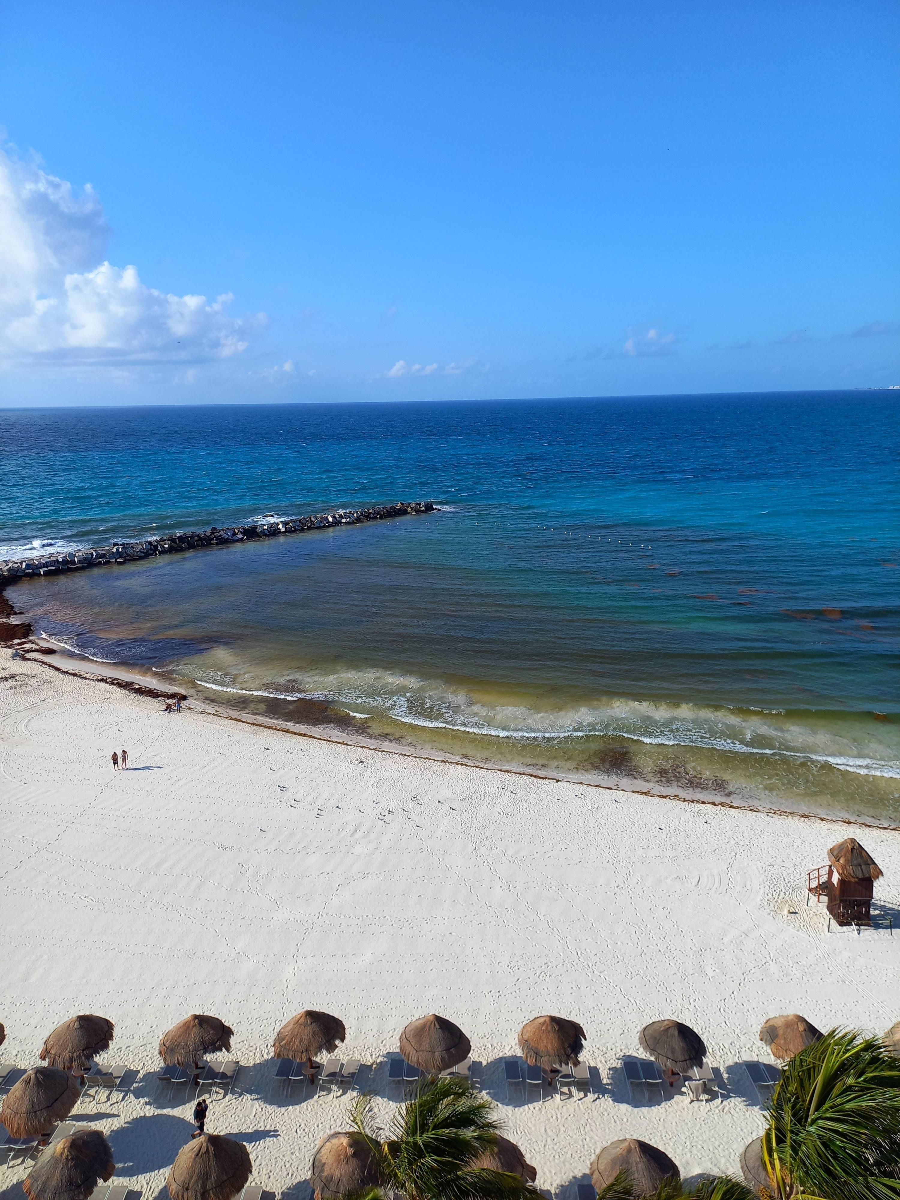 Perto da areia muito sargaço sem limpeza 