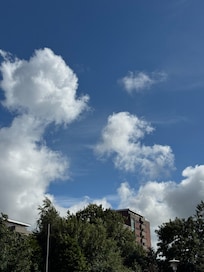 Blick aus dem Fenster