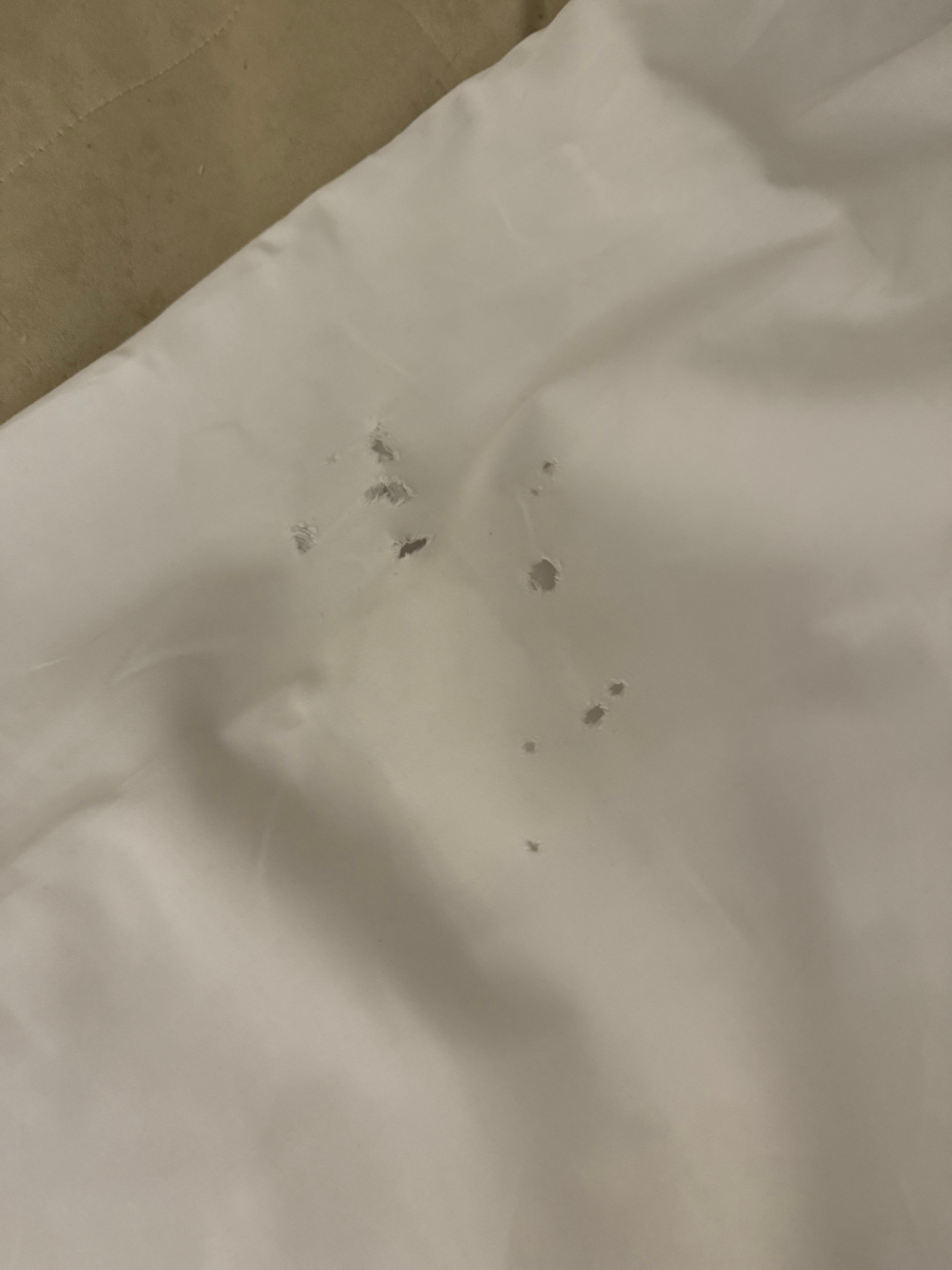 Holes in the bed sheet 
