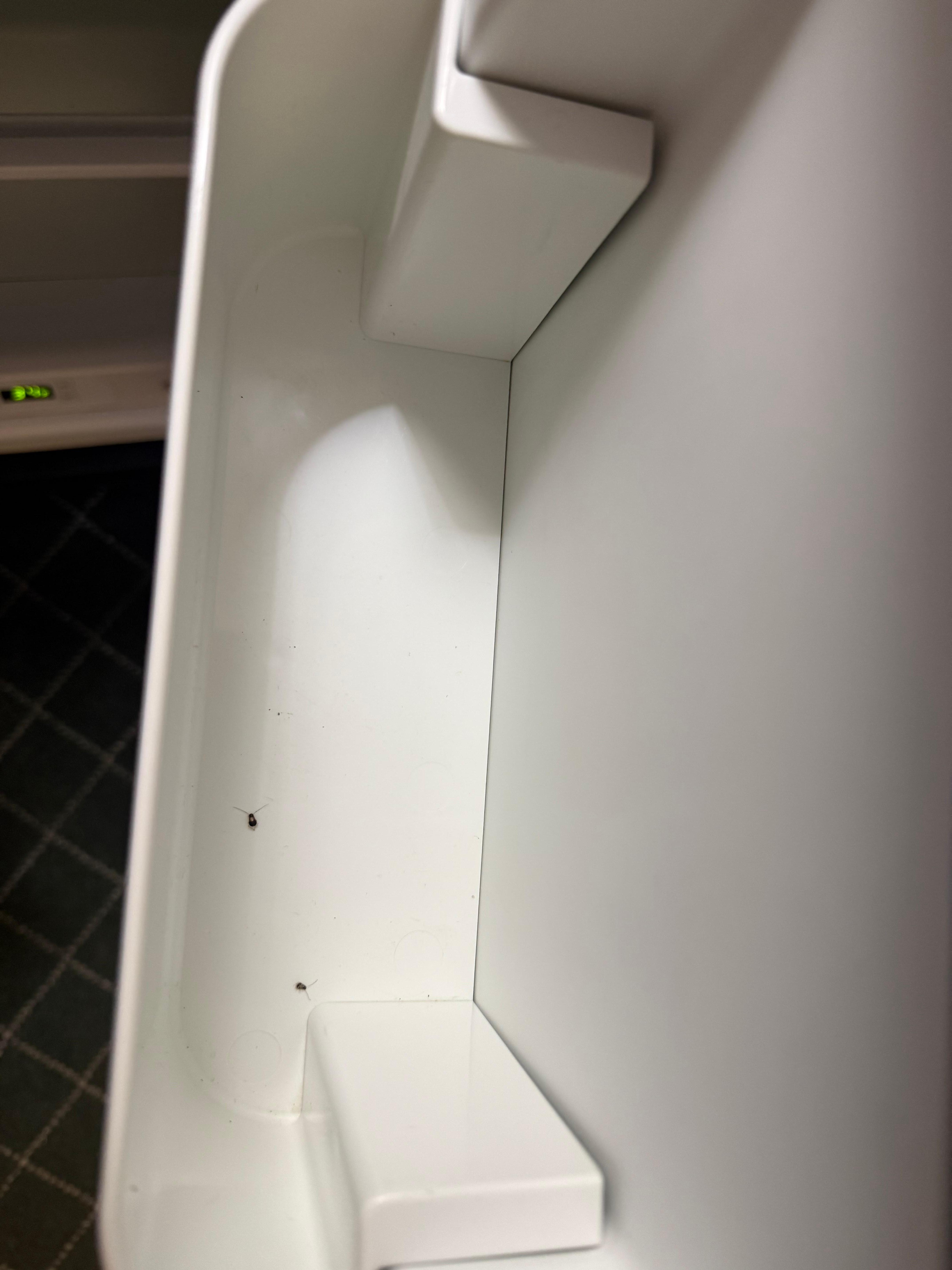 Roaches inside the mini fridge.