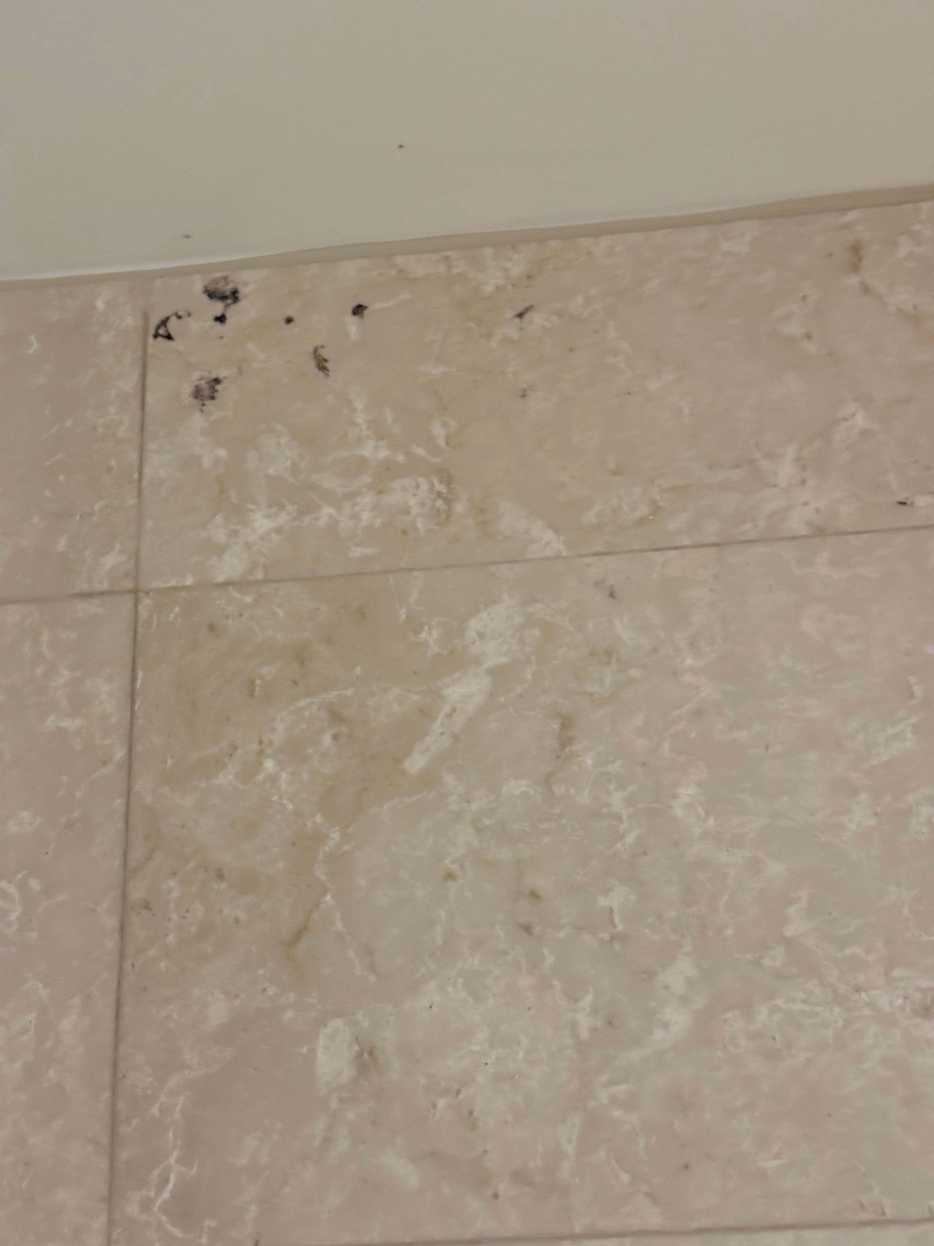 Black mold in shower