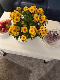 Sofa table inside of hotel room.