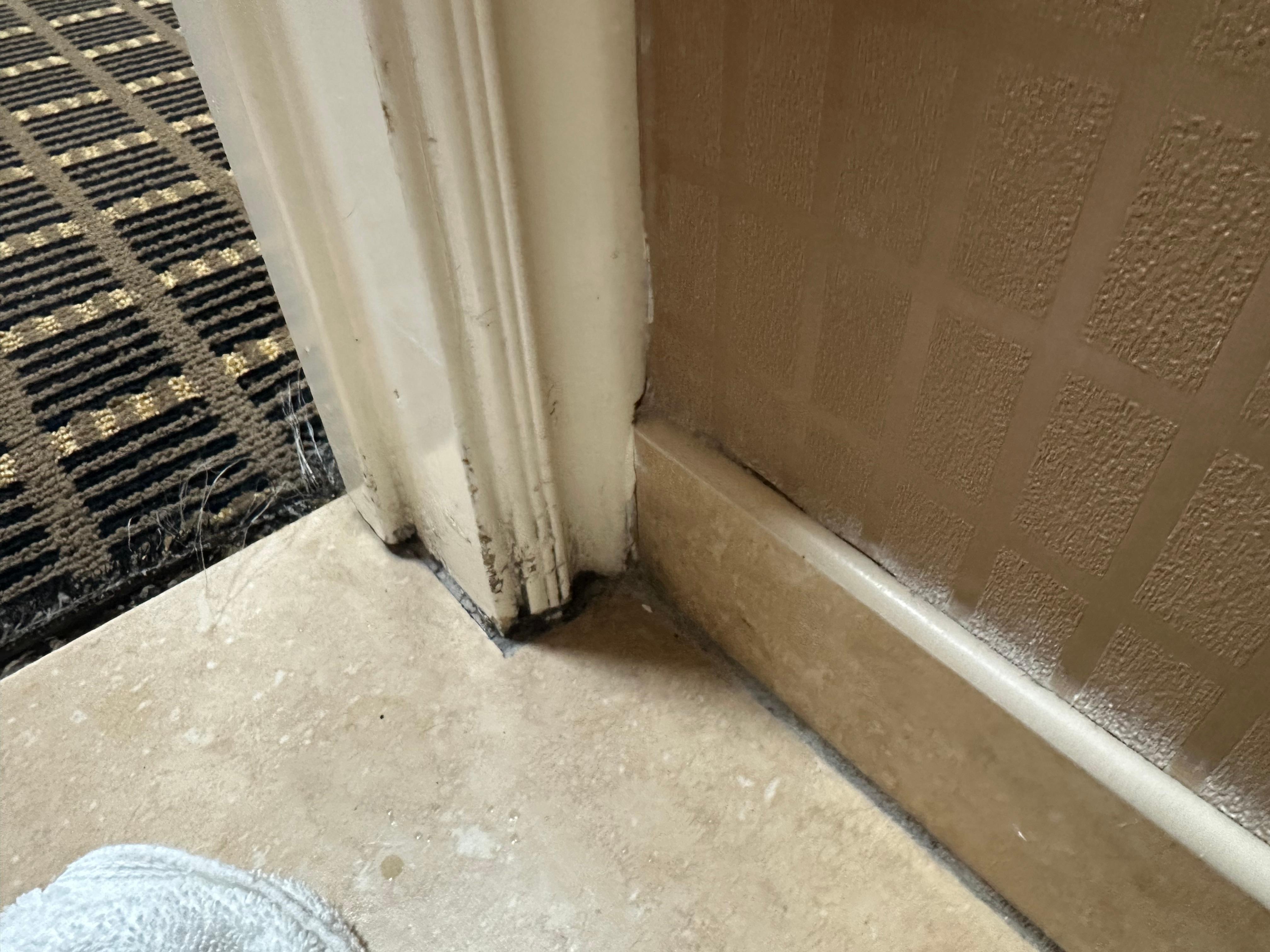 Black mold