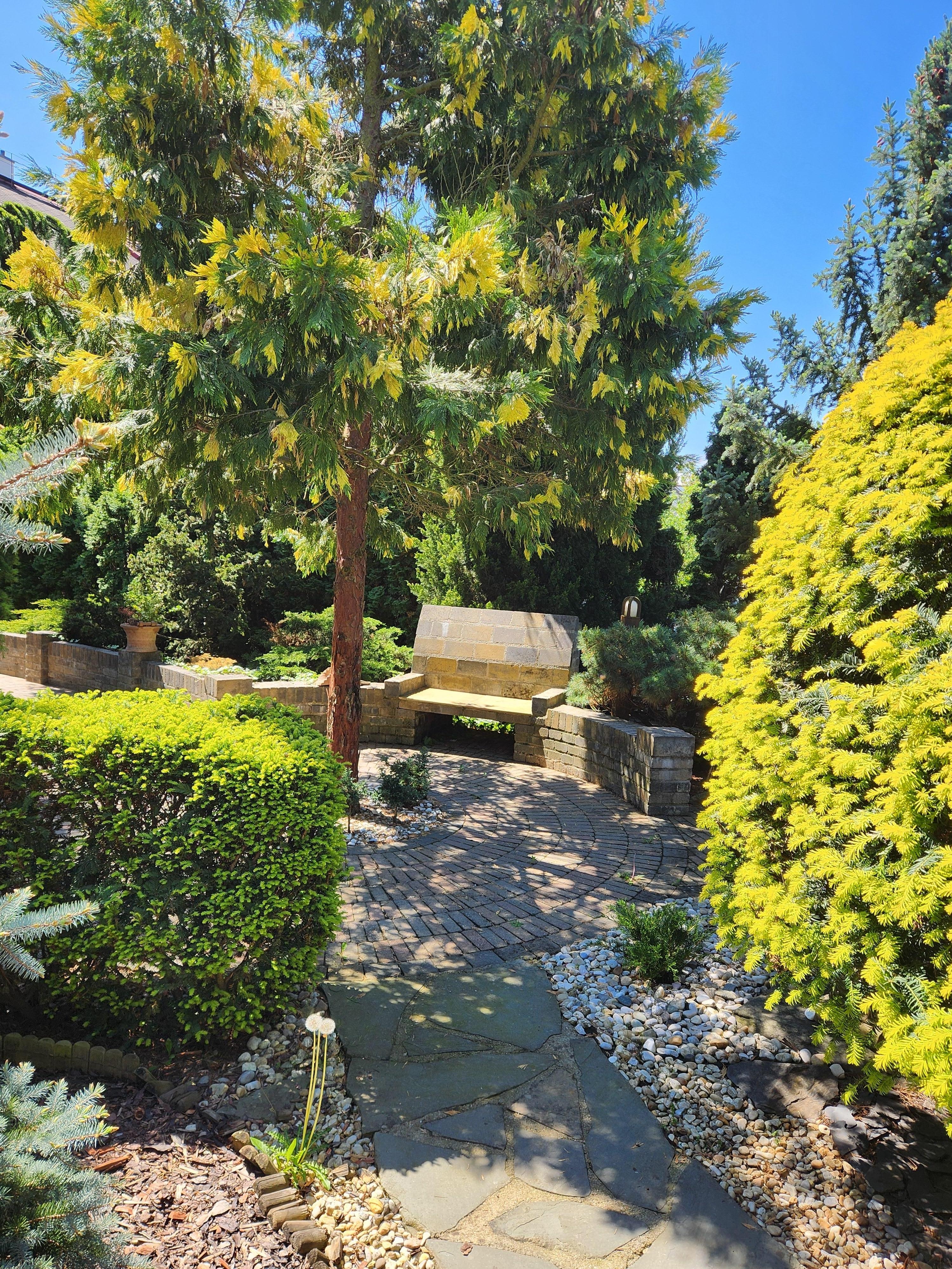Mini park