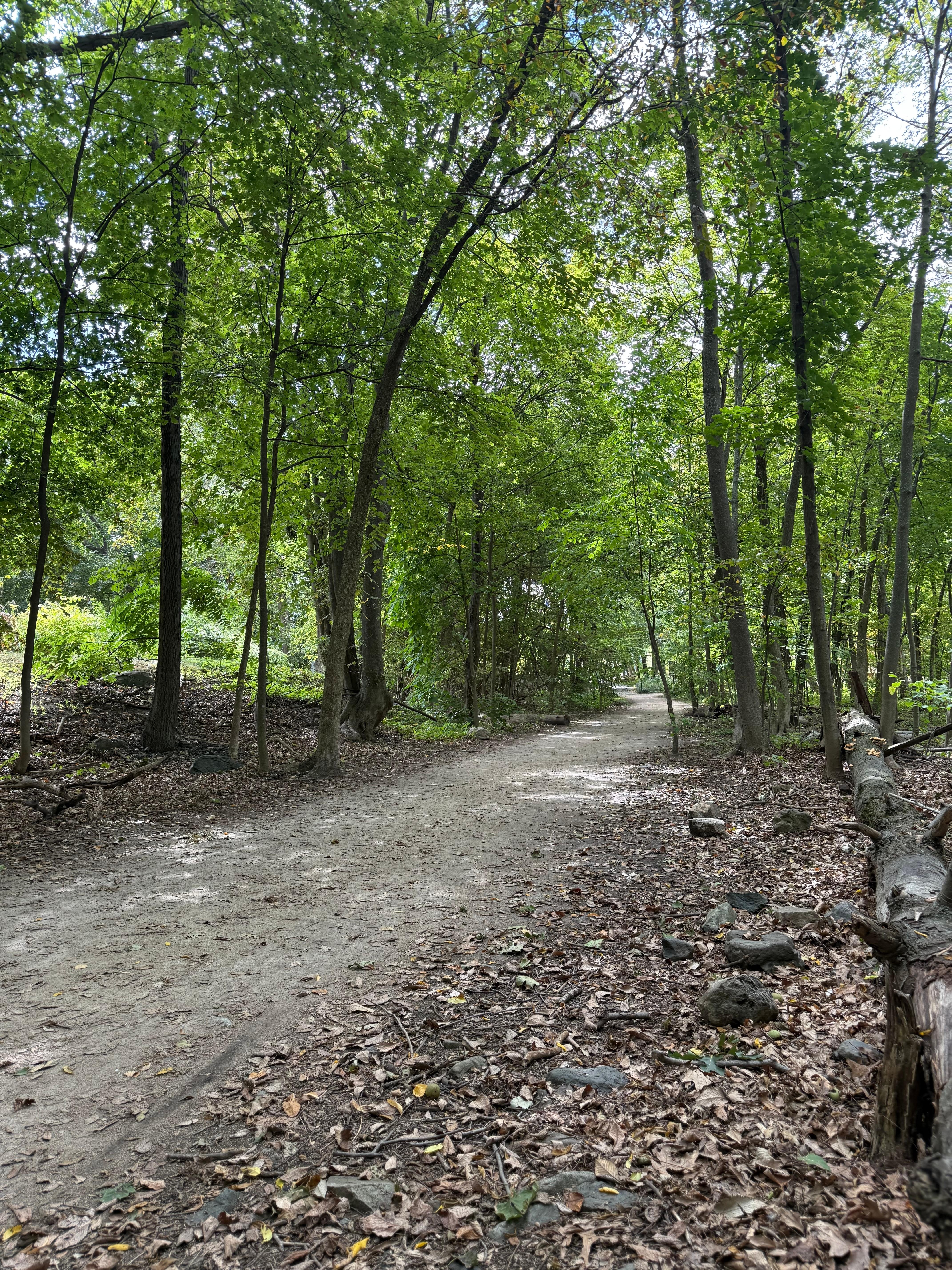 Trail down to Charles River
