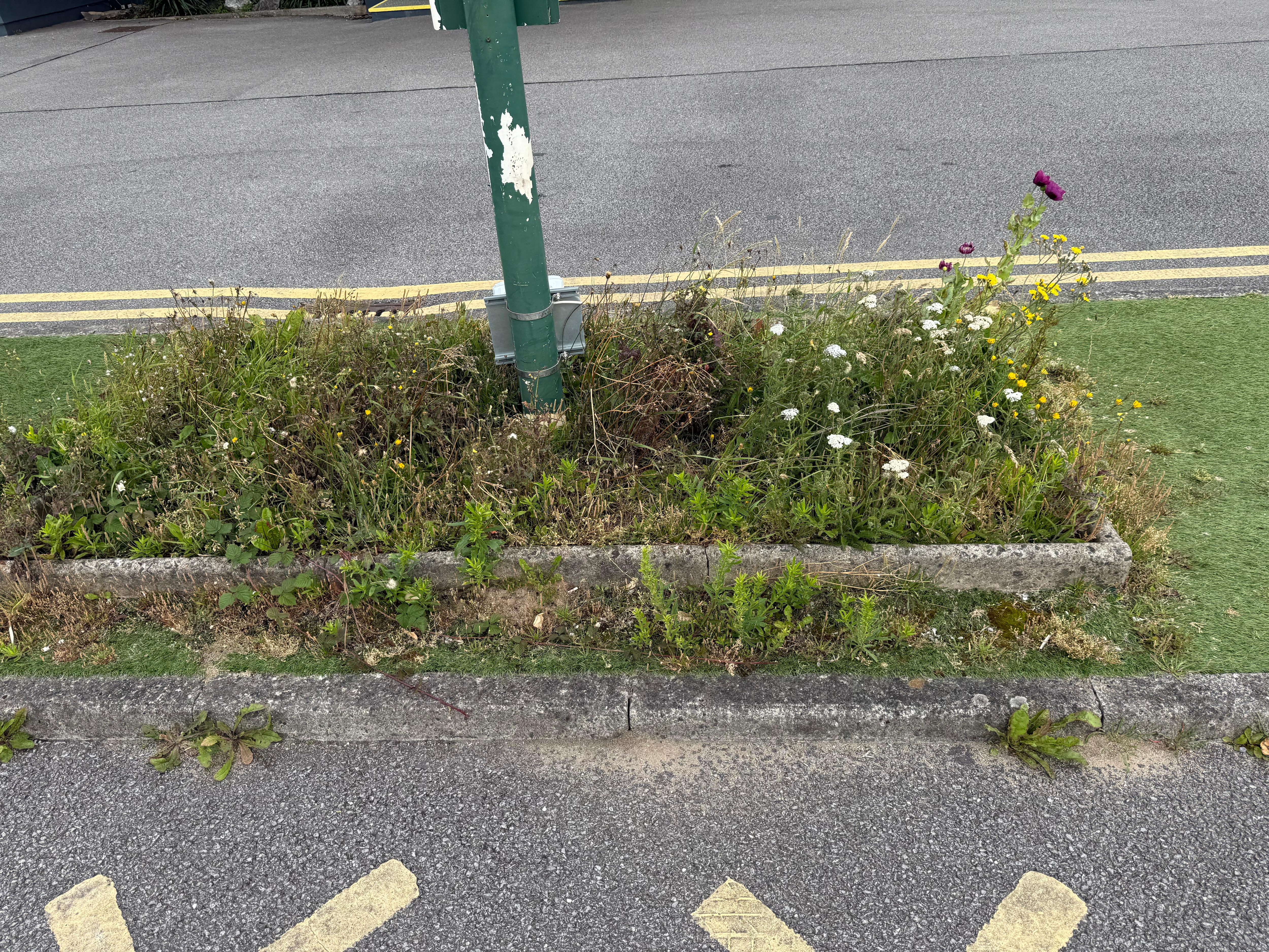 Typical flower bed