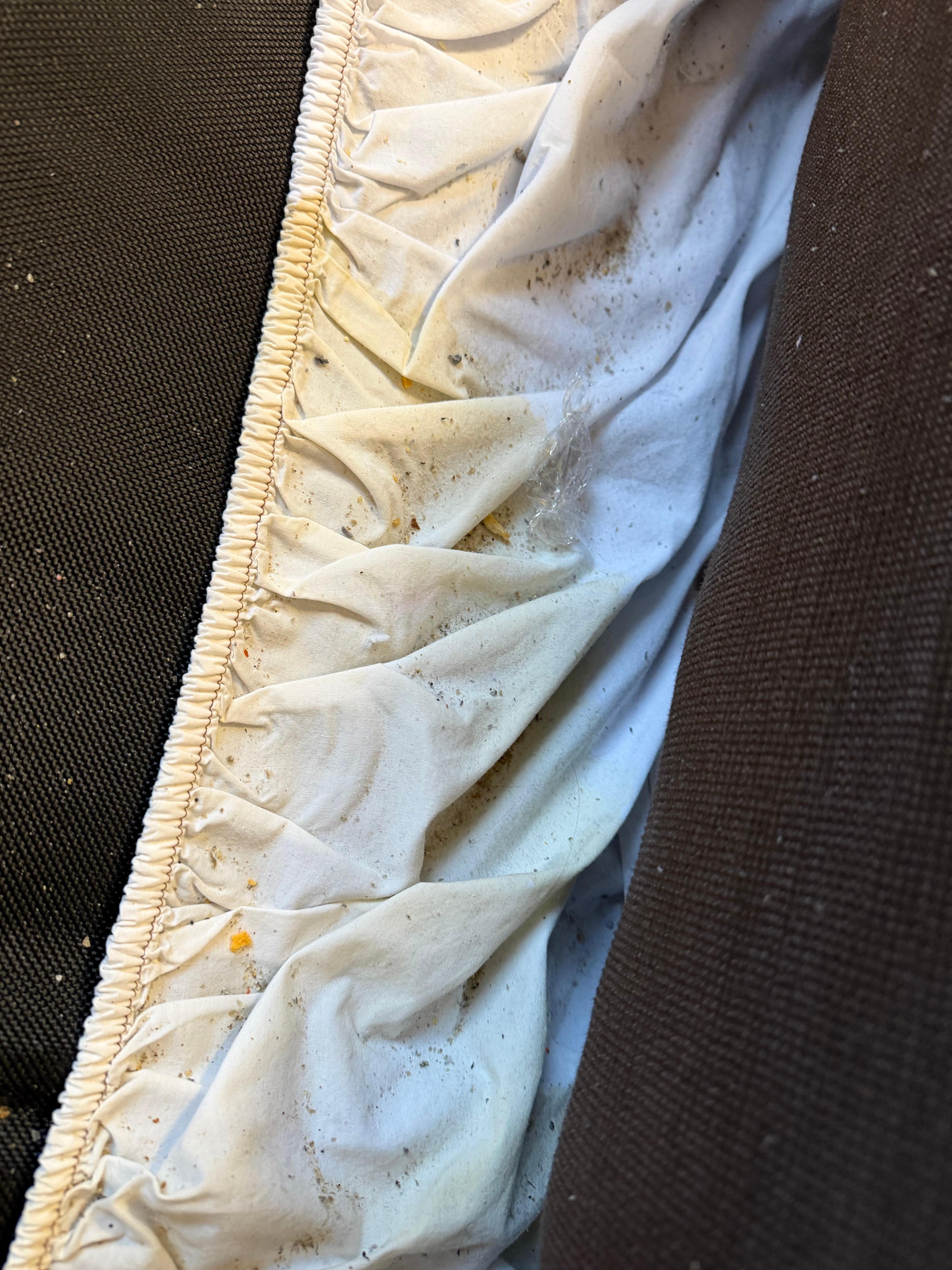 Urine soaked sofa bed