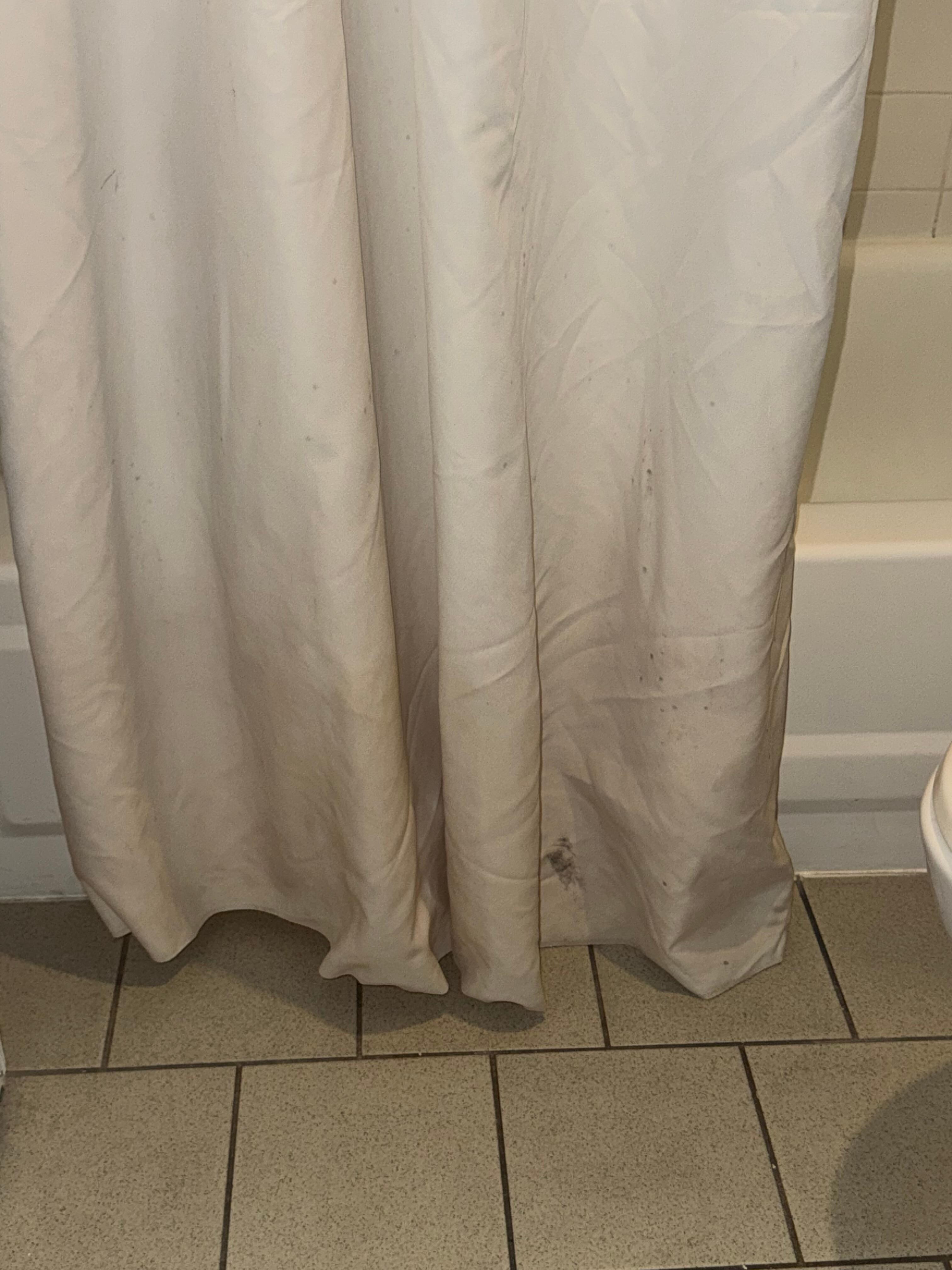 Shower curtain had mold on it 