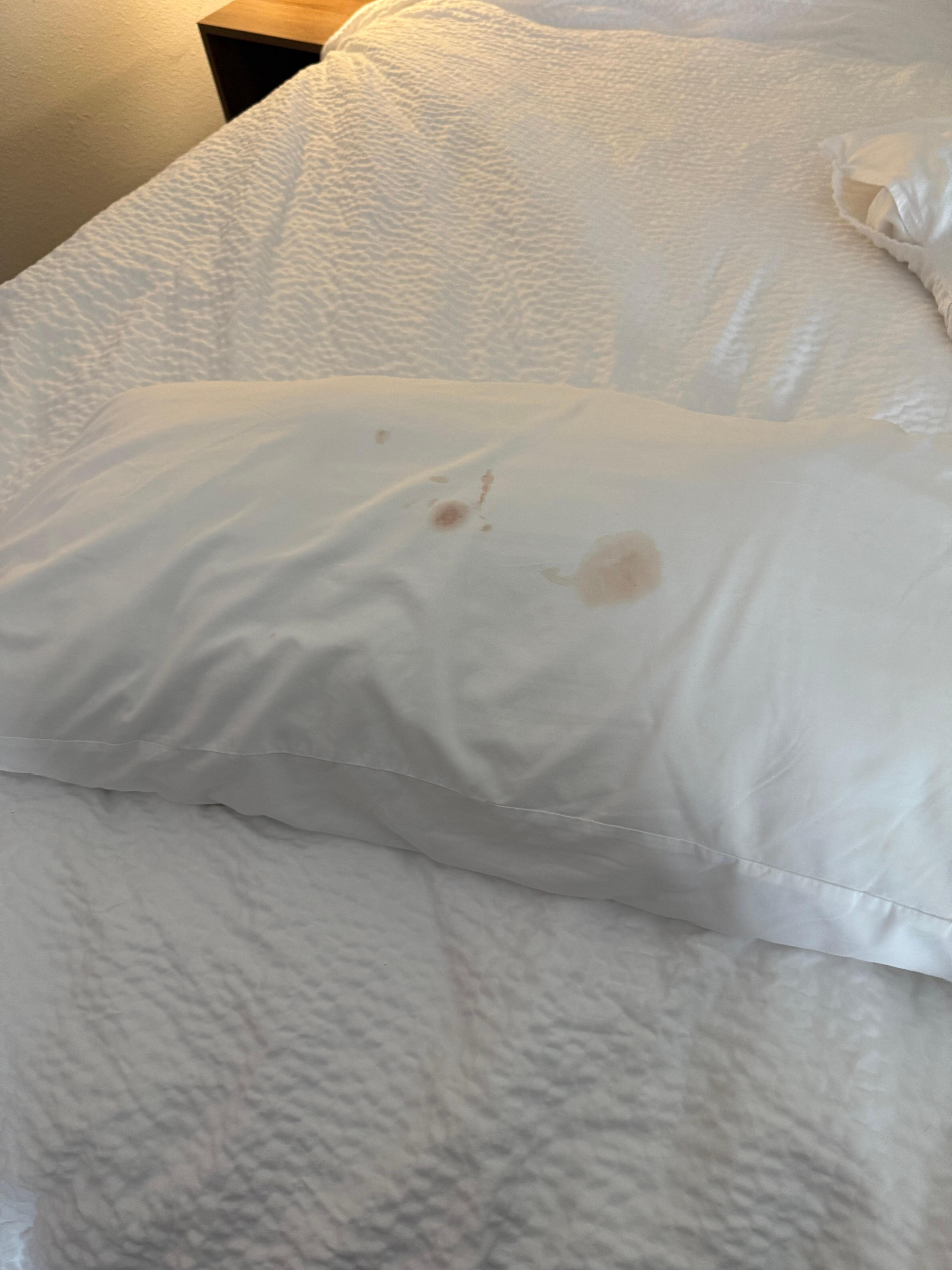 Ants in bed