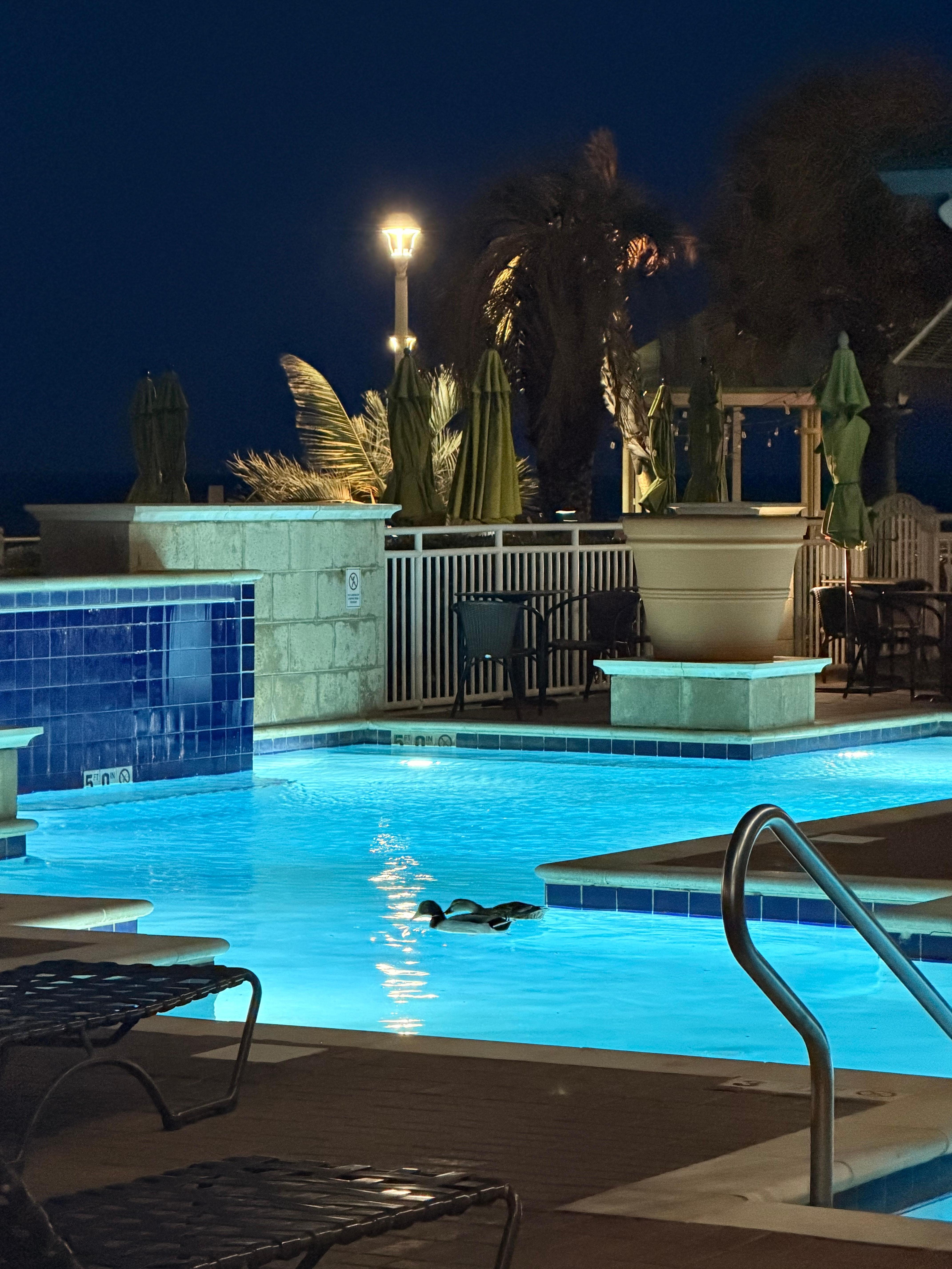Outdoor pool