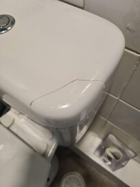 Cracked toilet